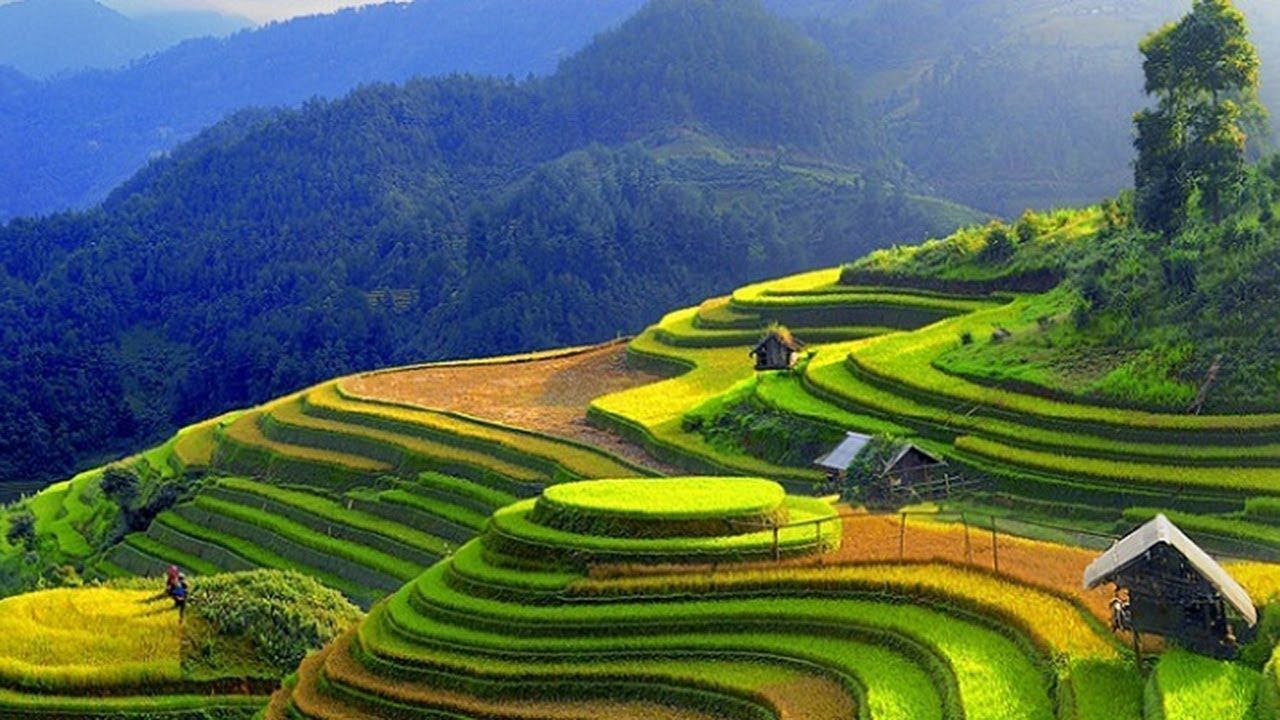 Sapa Vietnam Wallpapers - Top Free Sapa Vietnam Backgrounds ...
