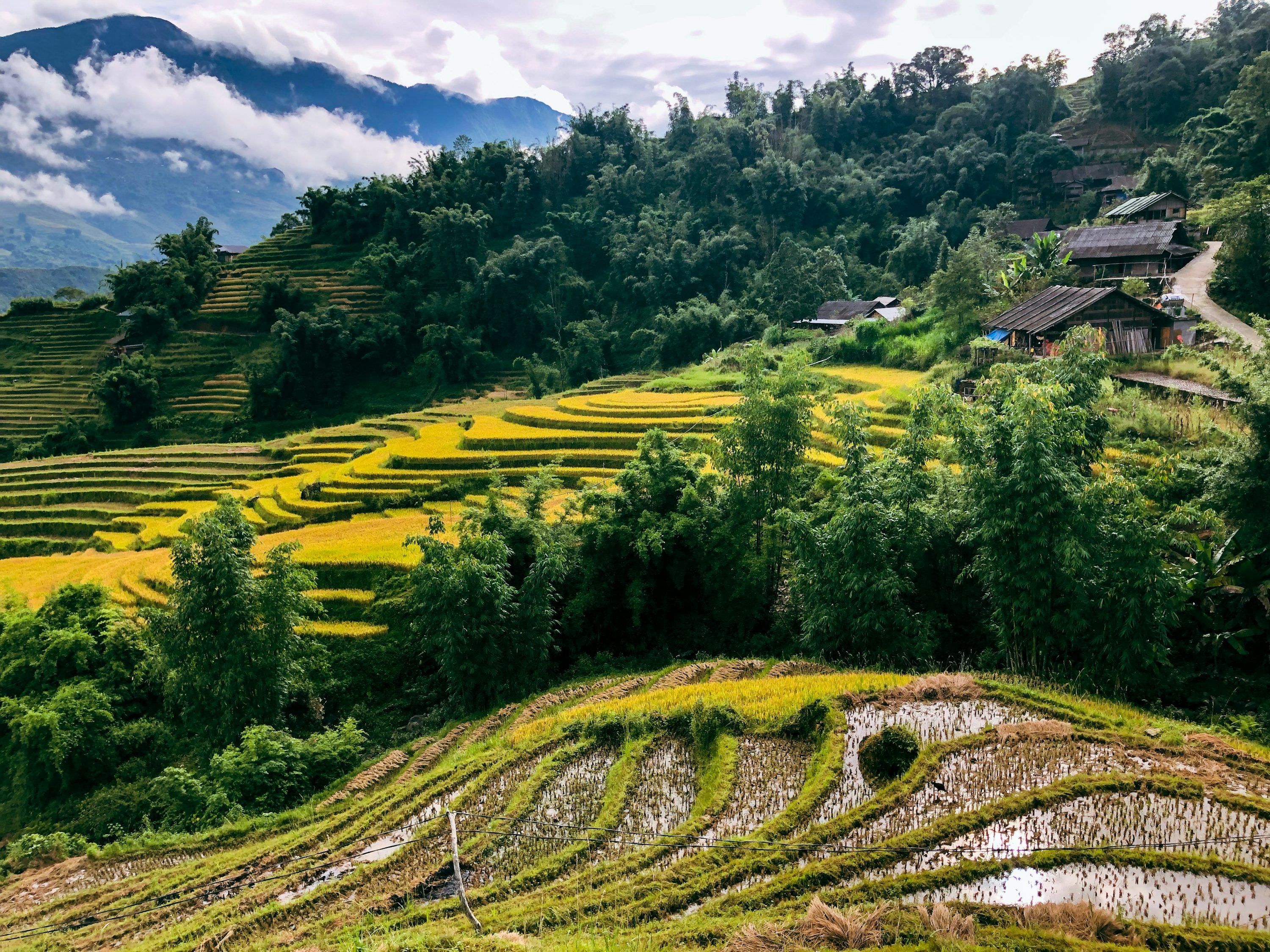 Sapa Vietnam Wallpapers - Top Free Sapa Vietnam Backgrounds ...