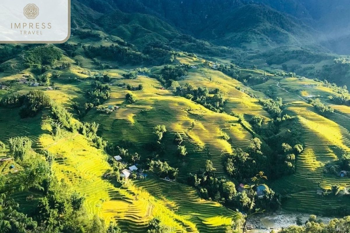 Sapa Vietnam Wallpapers - Top Free Sapa Vietnam Backgrounds ...