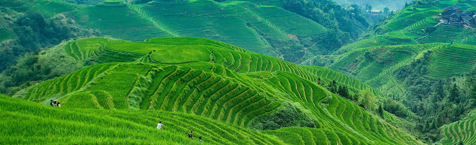 Sapa Vietnam Wallpapers - Top Free Sapa Vietnam Backgrounds ...