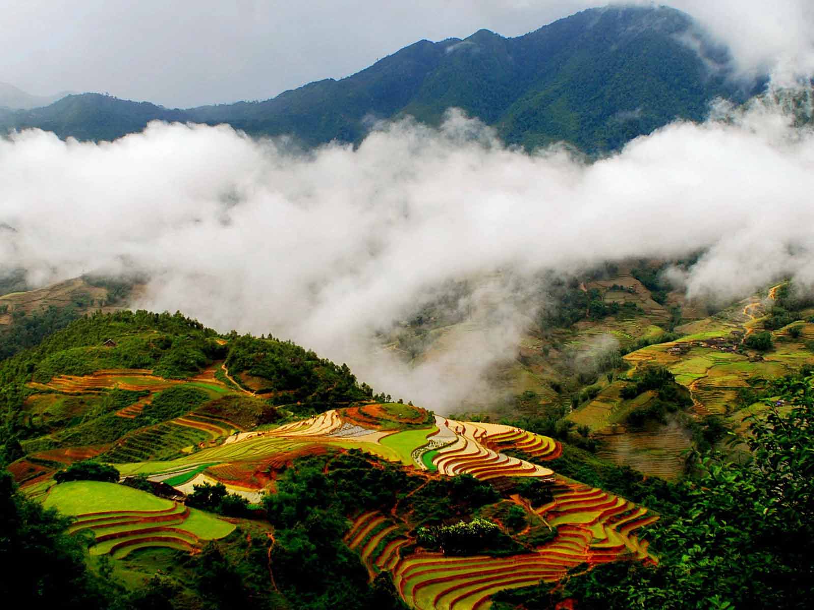 Sapa Vietnam Wallpapers - Top Free Sapa Vietnam Backgrounds ...