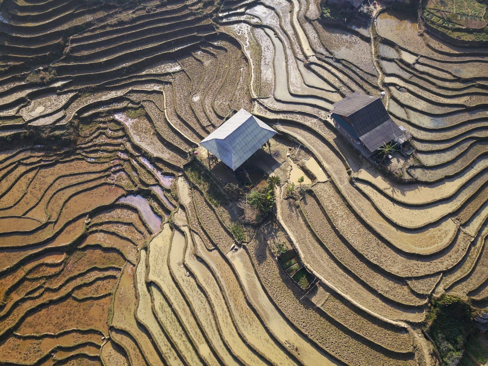 Sapa Vietnam Wallpapers - Top Free Sapa Vietnam Backgrounds ...