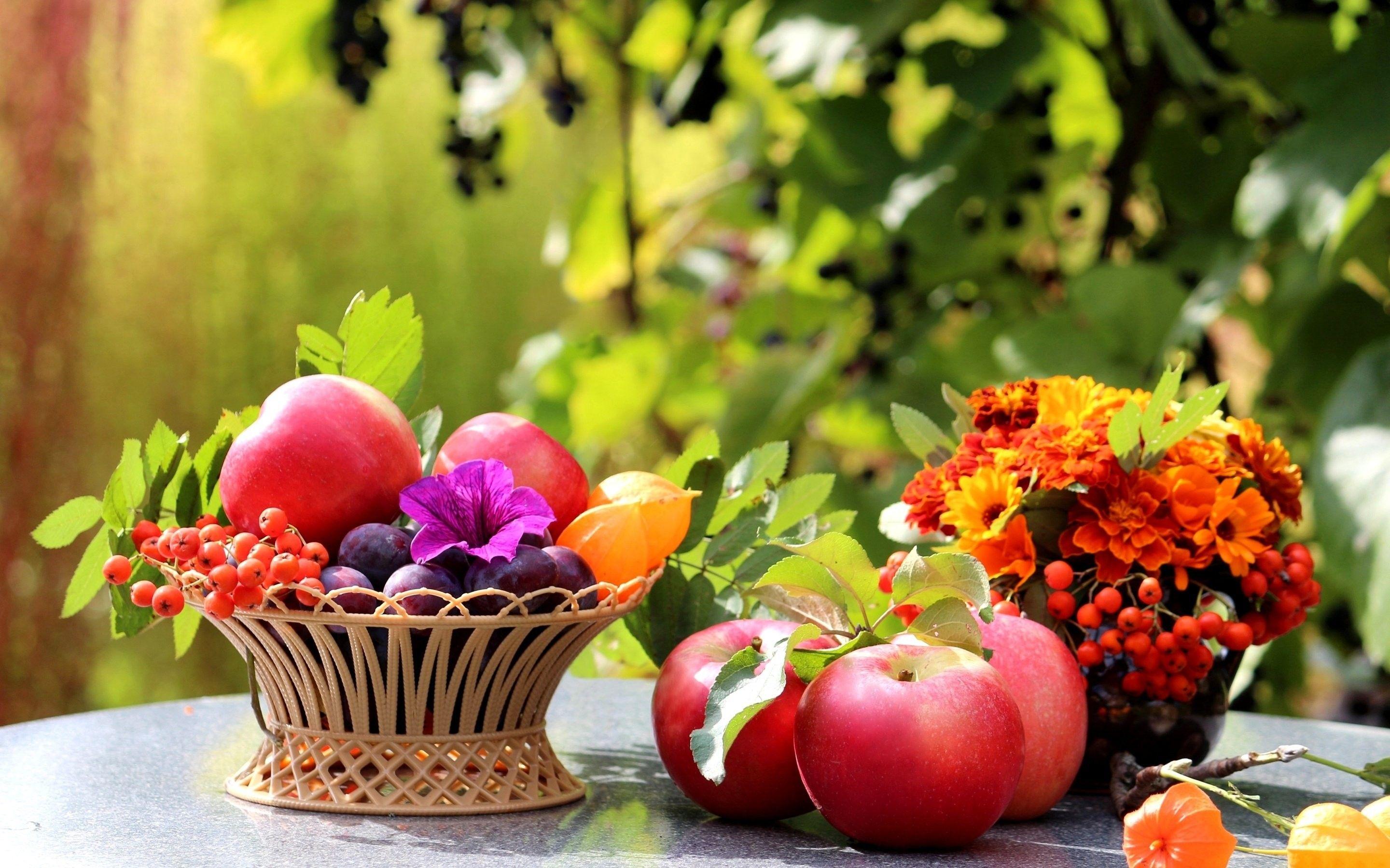 Fruits and Vegetables Wallpapers - Top Free Fruits and Vegetables ...