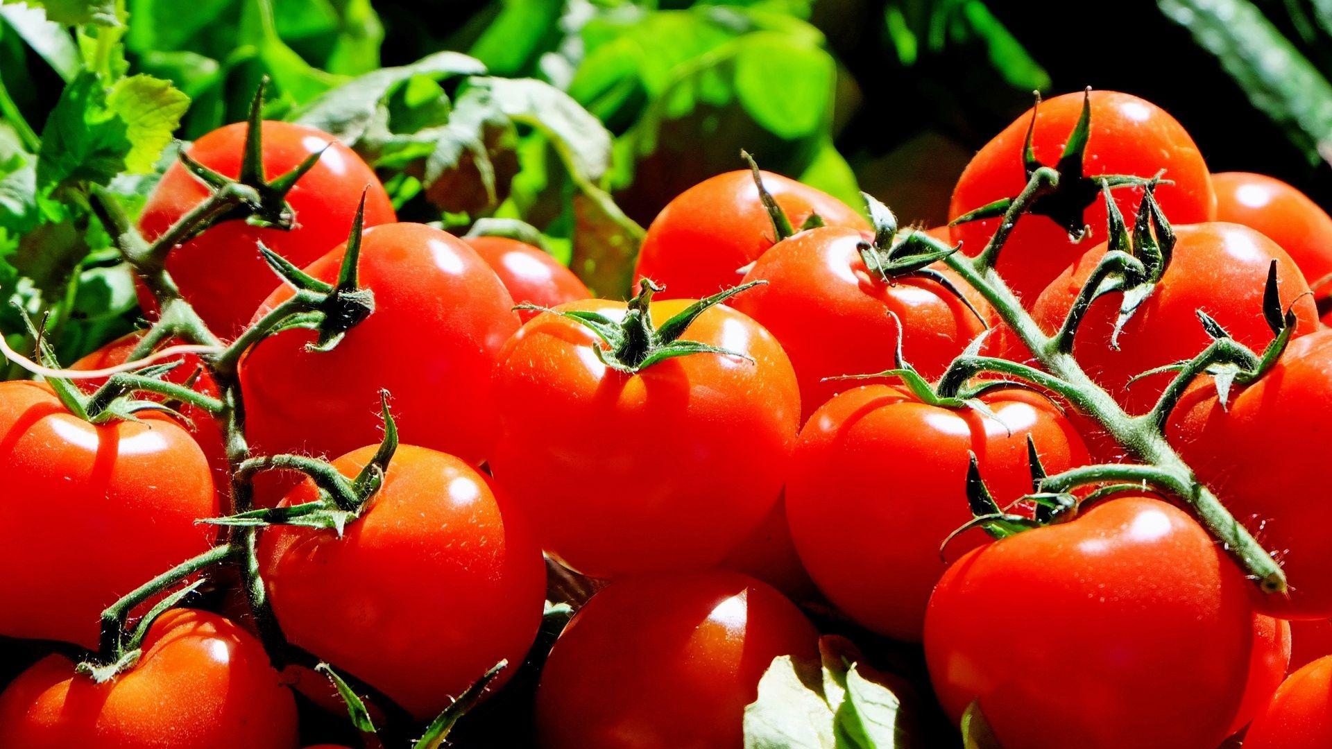 Vegetable HD Wallpapers - Top Free Vegetable HD Backgrounds ...