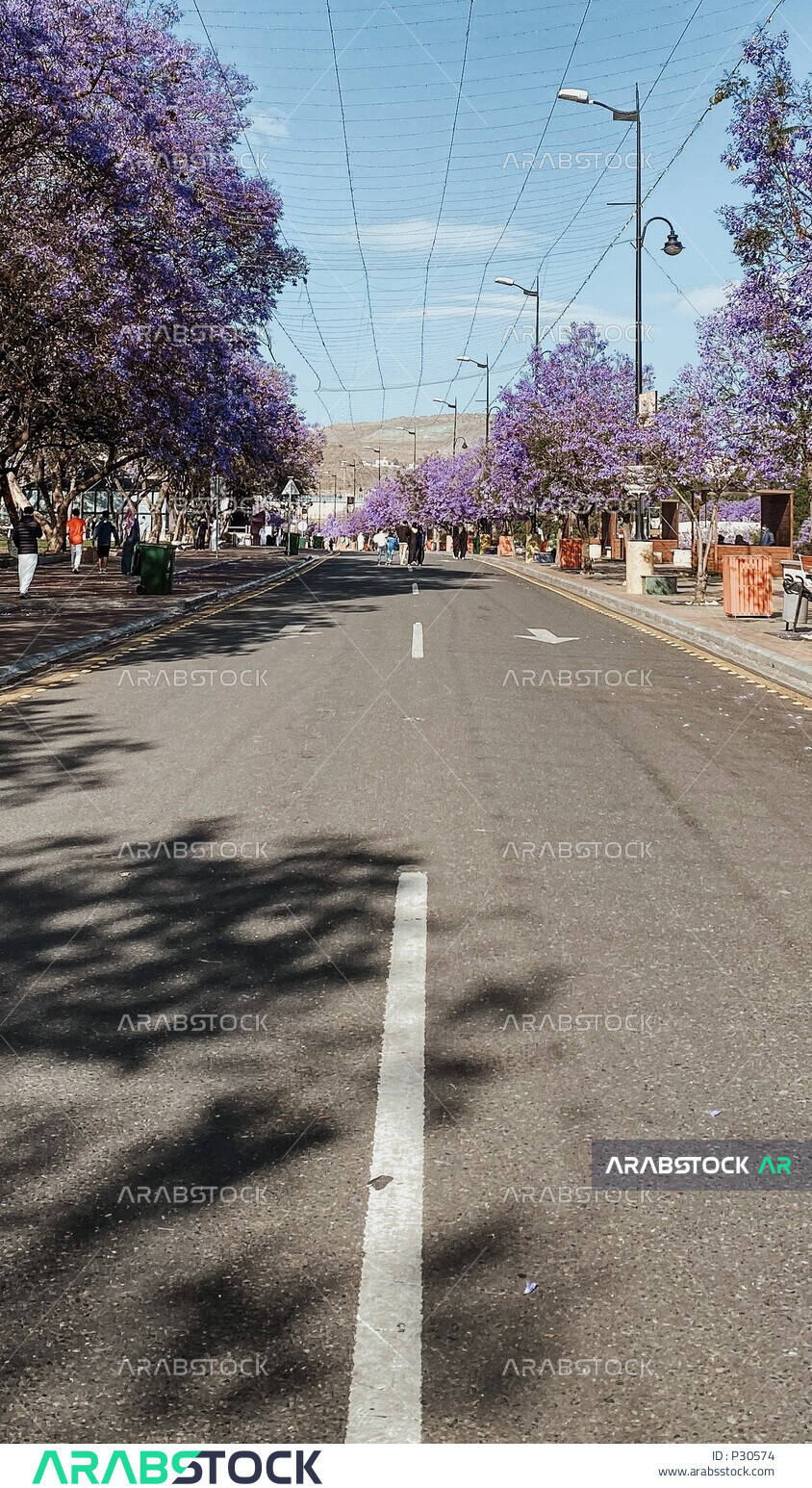 Abha Wallpapers - Top Free Abha Backgrounds - WallpaperAccess