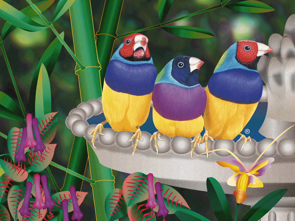 ViewSonic Wallpapers - Top Free ViewSonic Backgrounds - WallpaperAccess