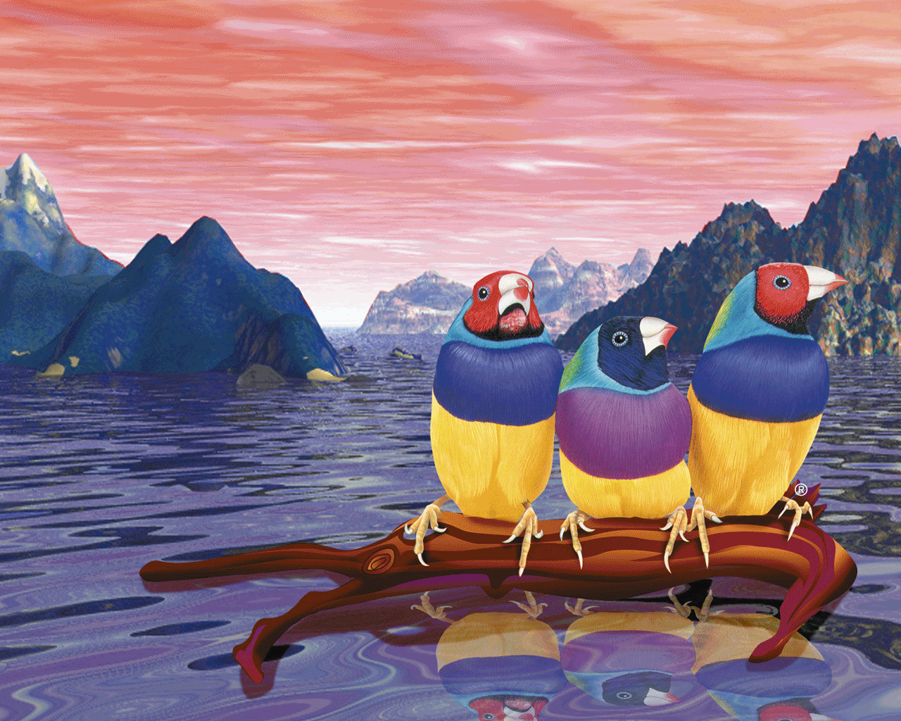 ViewSonic Wallpapers - Top Free ViewSonic Backgrounds - WallpaperAccess