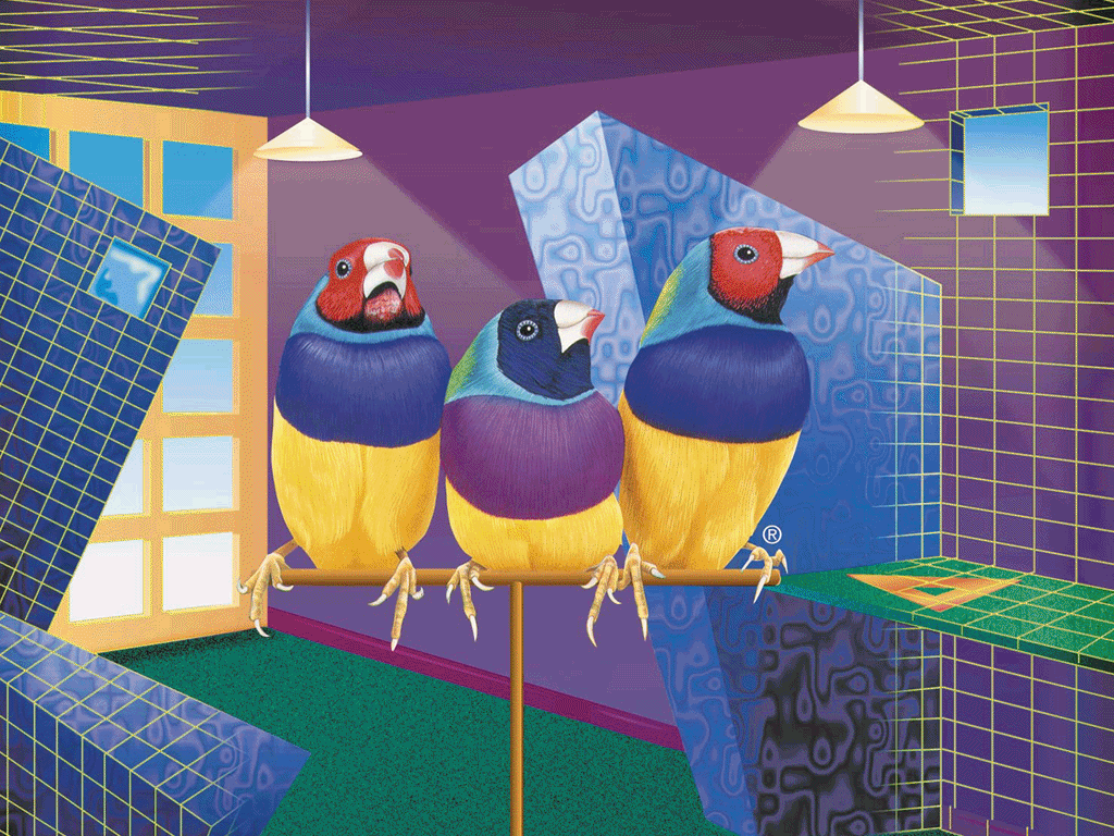 ViewSonic Wallpapers - Top Free ViewSonic Backgrounds - WallpaperAccess