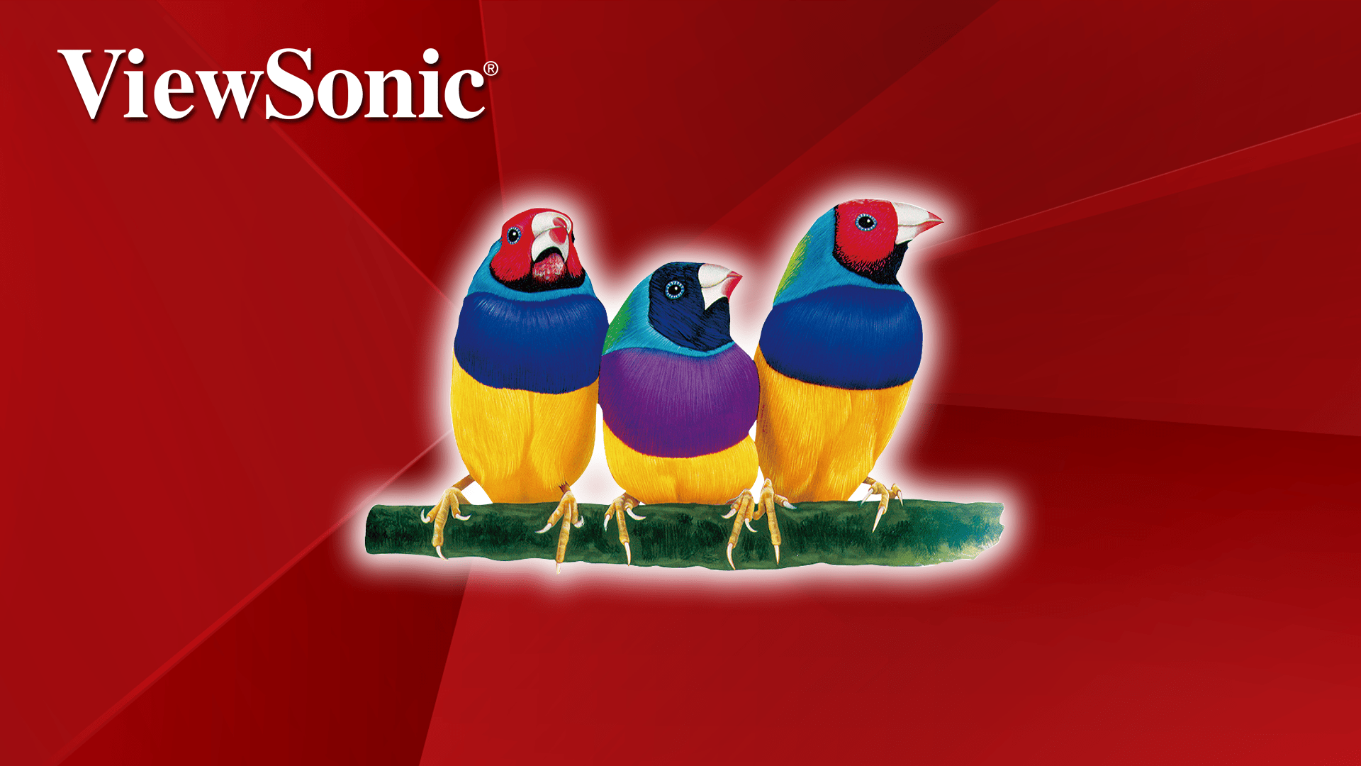 ViewSonic Wallpapers - Top Free ViewSonic Backgrounds - WallpaperAccess