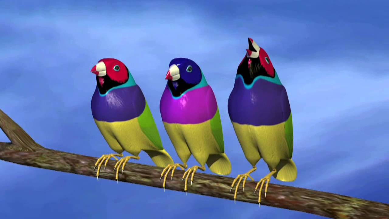 ViewSonic Wallpapers - Top Free ViewSonic Backgrounds - WallpaperAccess