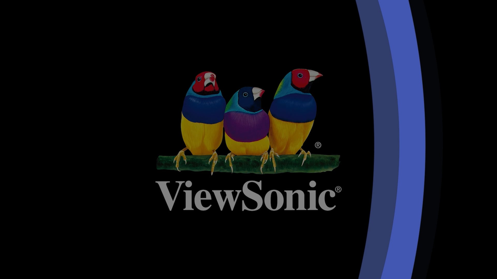 ViewSonic Wallpapers - Top Free ViewSonic Backgrounds - WallpaperAccess