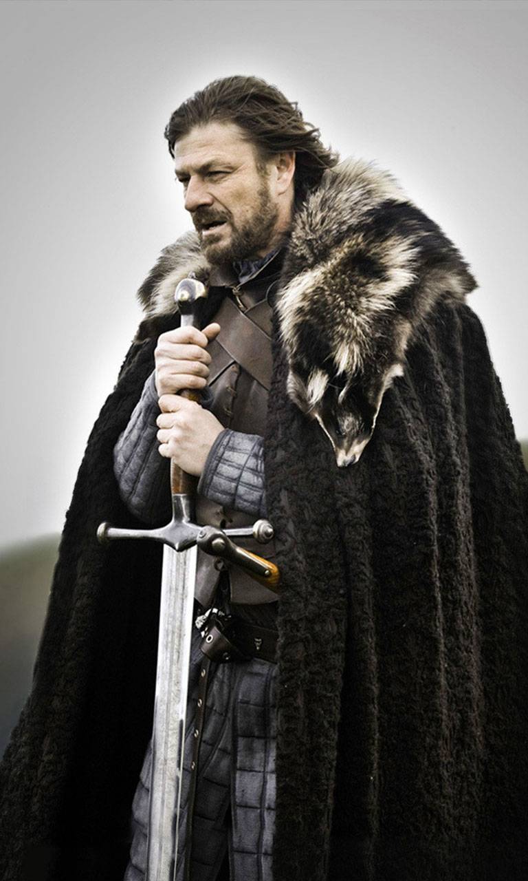 Ned Stark Wallpapers - Top Free Ned Stark Backgrounds - WallpaperAccess
