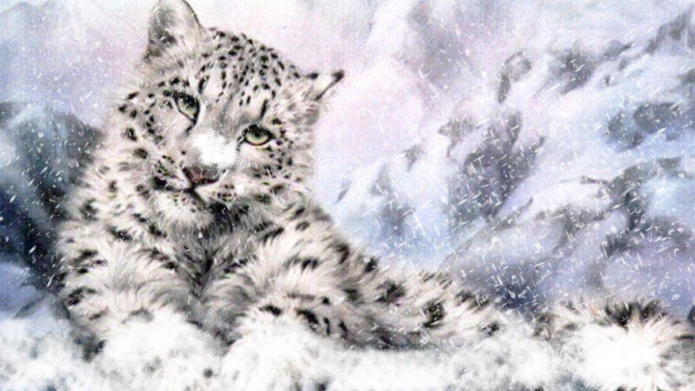 Baby Snow Leopard Wallpapers - Top Free Baby Snow Leopard Backgrounds ...