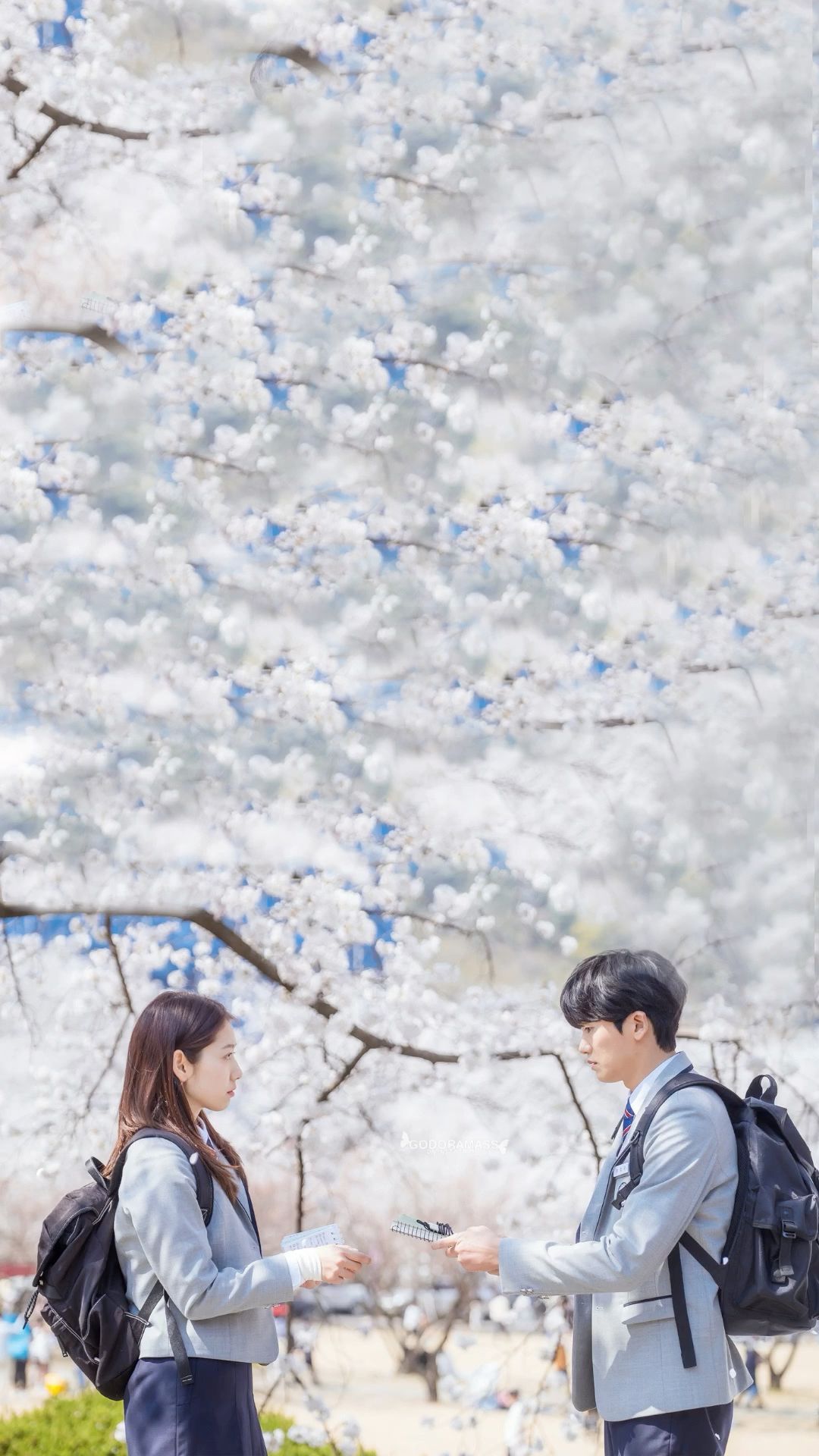 Doctor Slump Wallpapers - Top Free Doctor Slump Backgrounds ...