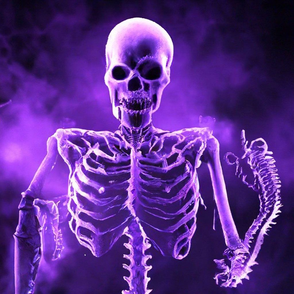 Purple Skeleton Wallpapers - Top Free Purple Skeleton Backgrounds ...