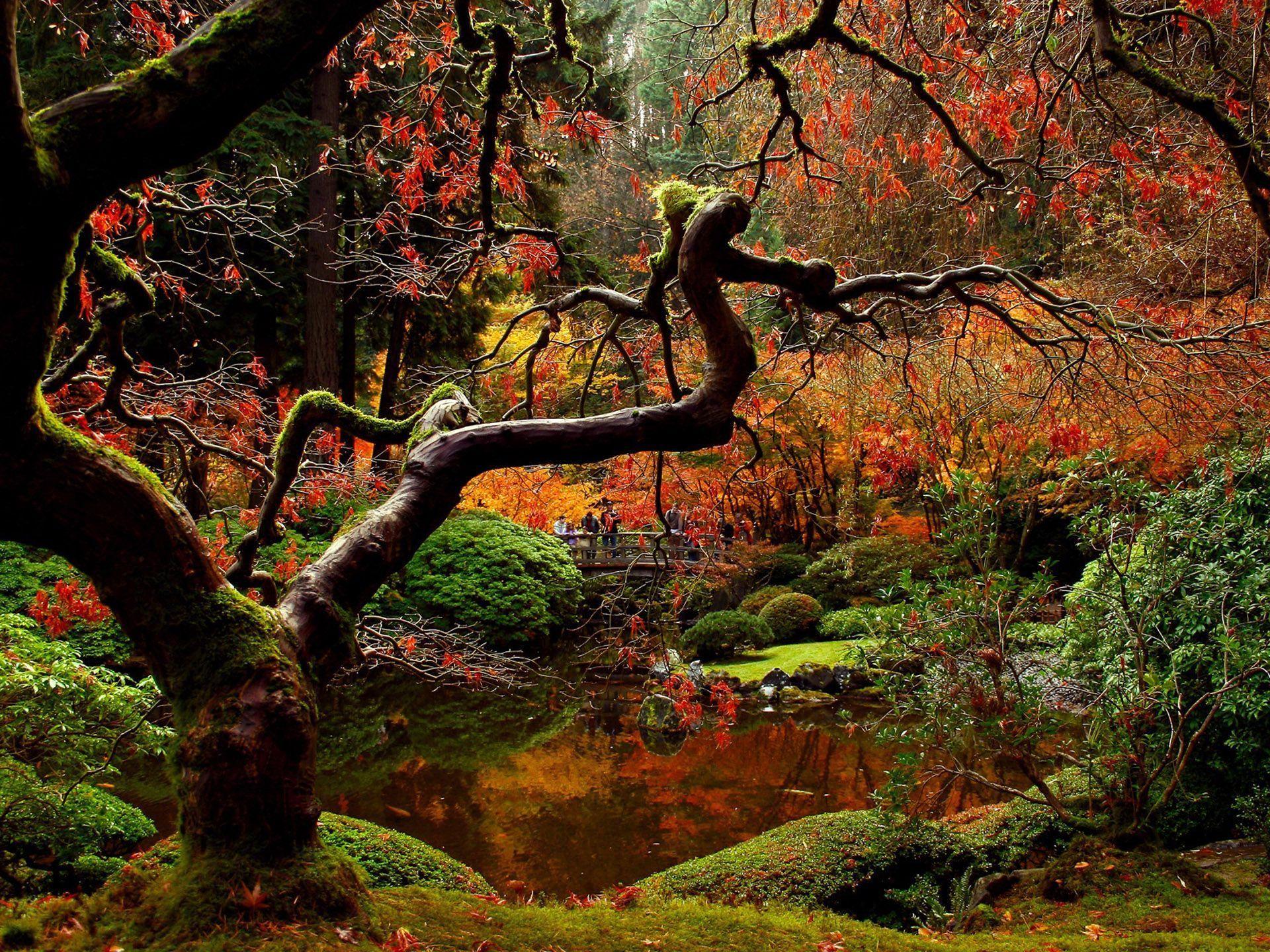 Portland Japanese Garden Wallpapers - Top Free Portland Japanese Garden ...
