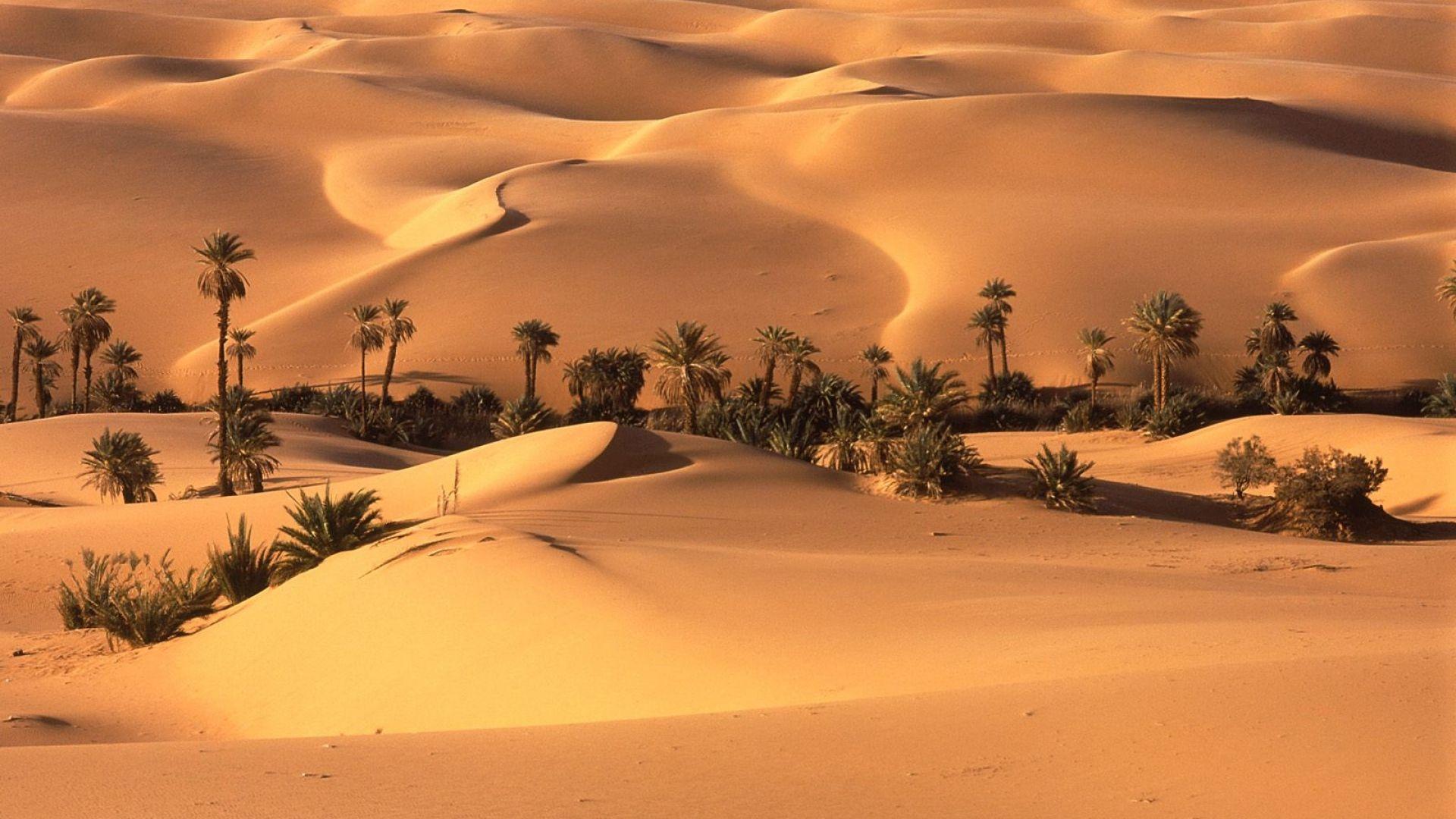 Desert Desktop Wallpapers - Top Free Desert Desktop Backgrounds ...