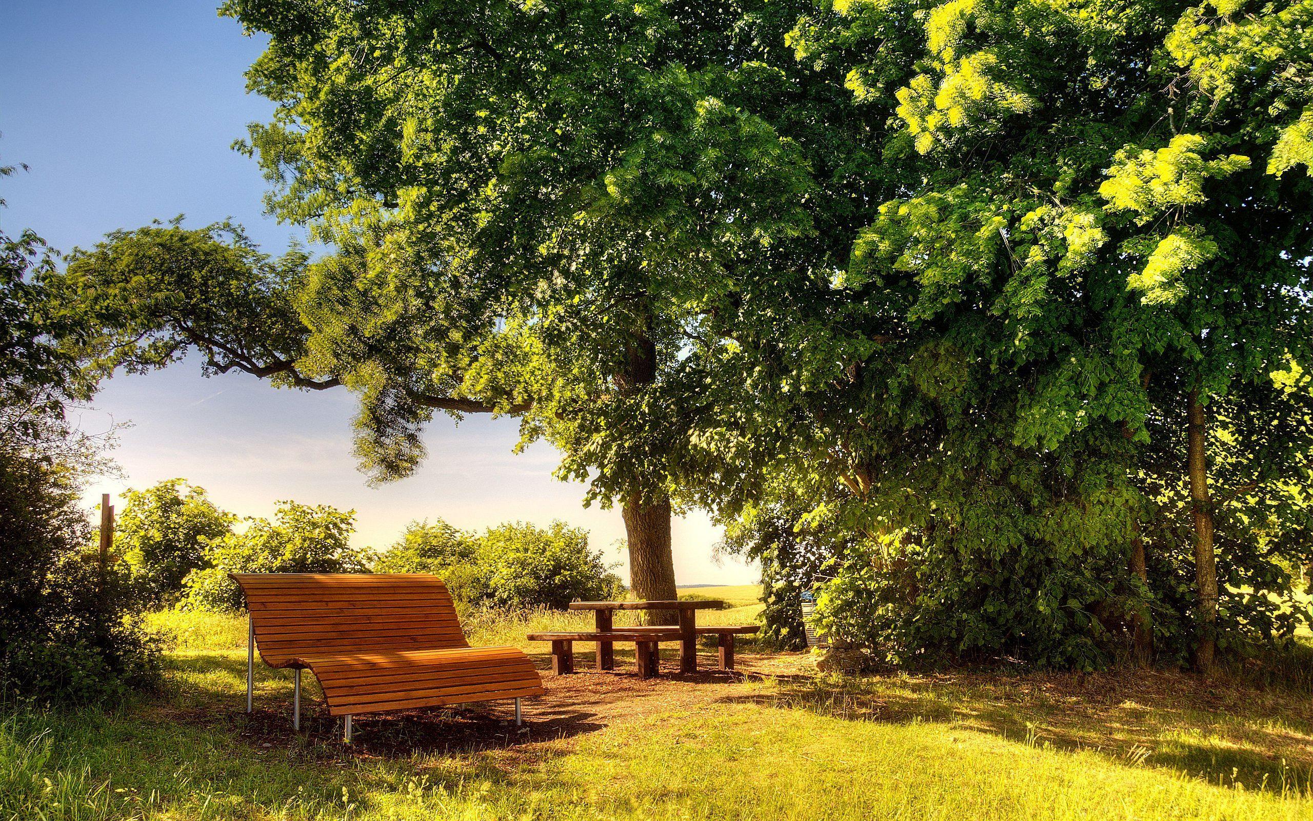 Sunny Desktop Wallpapers - Top Free Sunny Desktop Backgrounds ...