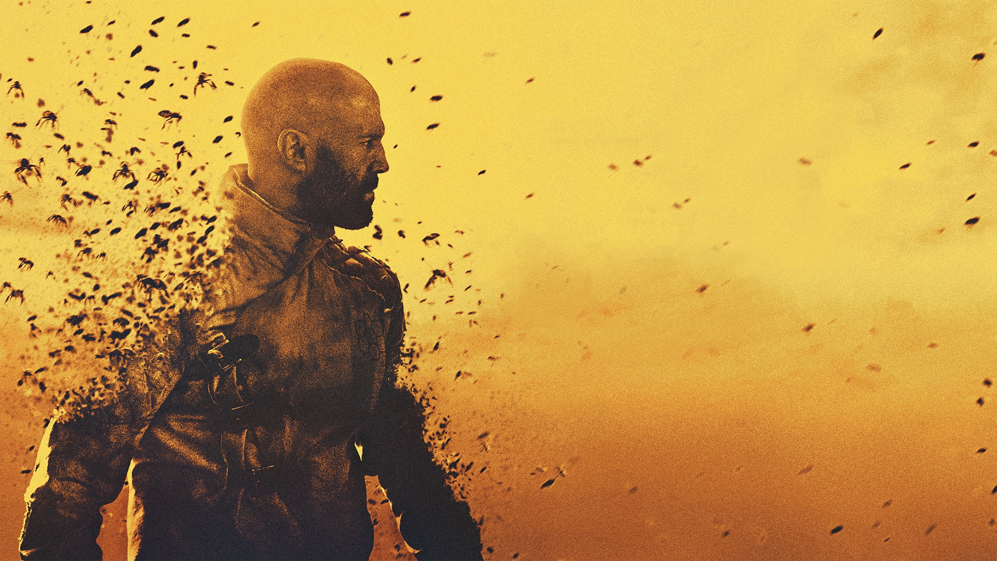 The Beekeeper Wallpapers - Top Free The Beekeeper Backgrounds ...