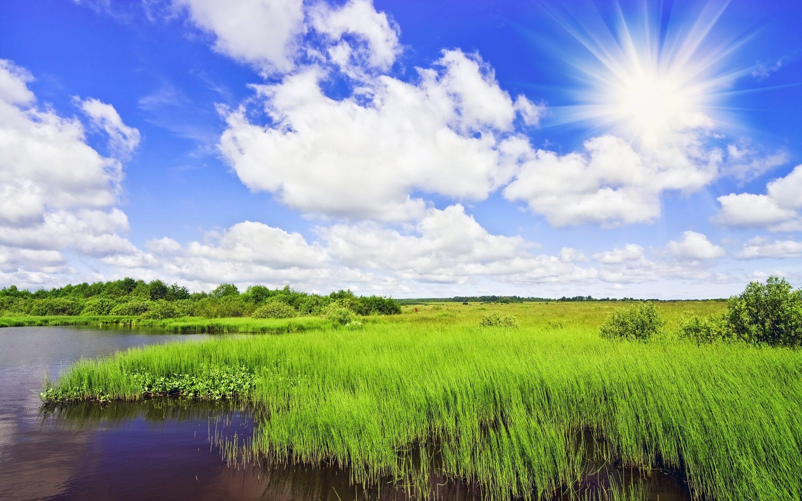 Sunny Desktop Wallpapers - Top Free Sunny Desktop Backgrounds ...