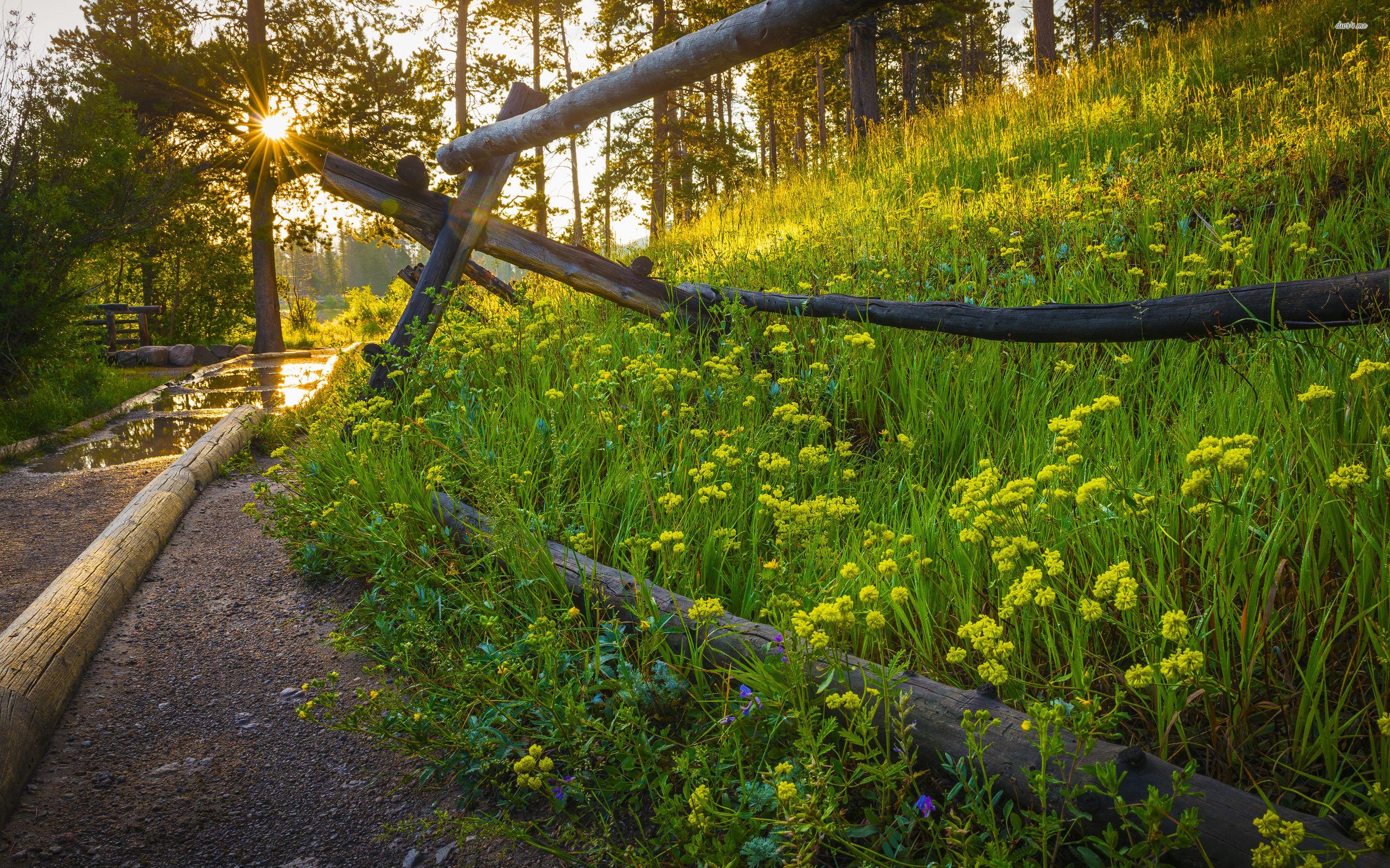 Sunny Desktop Wallpapers - Top Free Sunny Desktop Backgrounds ...