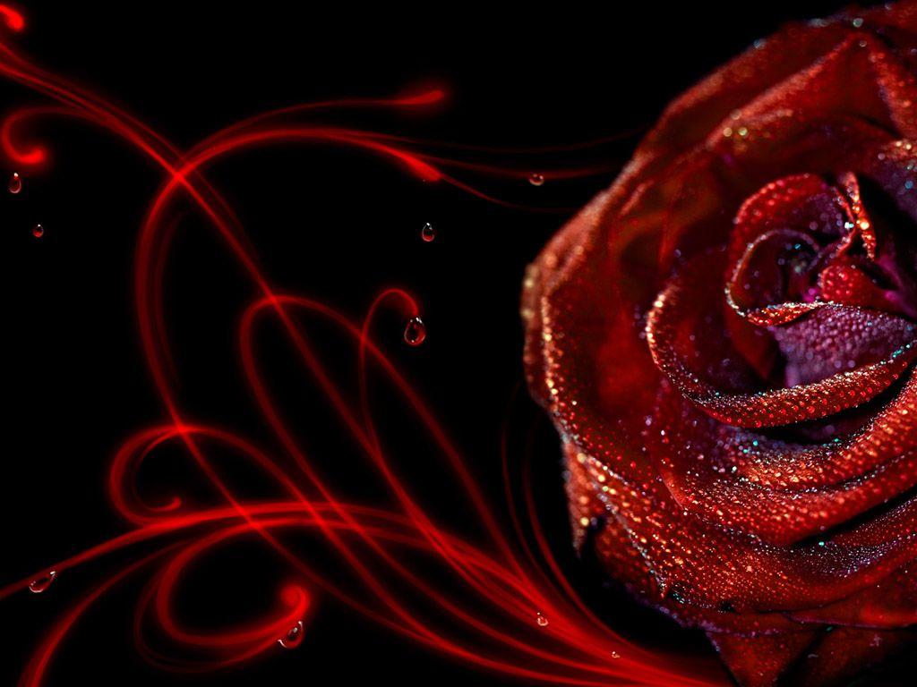 Red Roses Art Wallpapers - Top Free Red Roses Art Backgrounds ...
