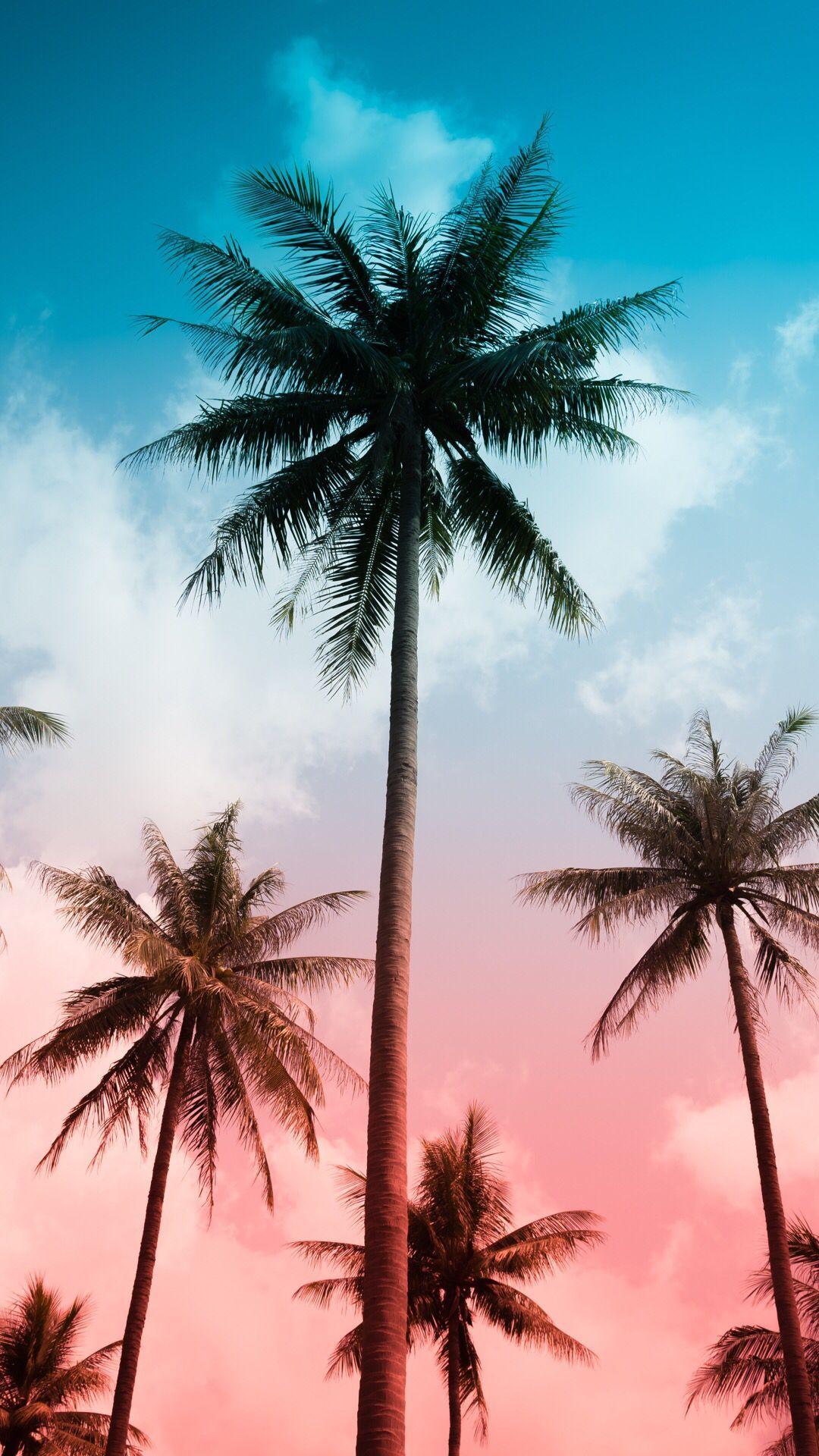 Vertical Summer Wallpapers - Top Free Vertical Summer Backgrounds ...