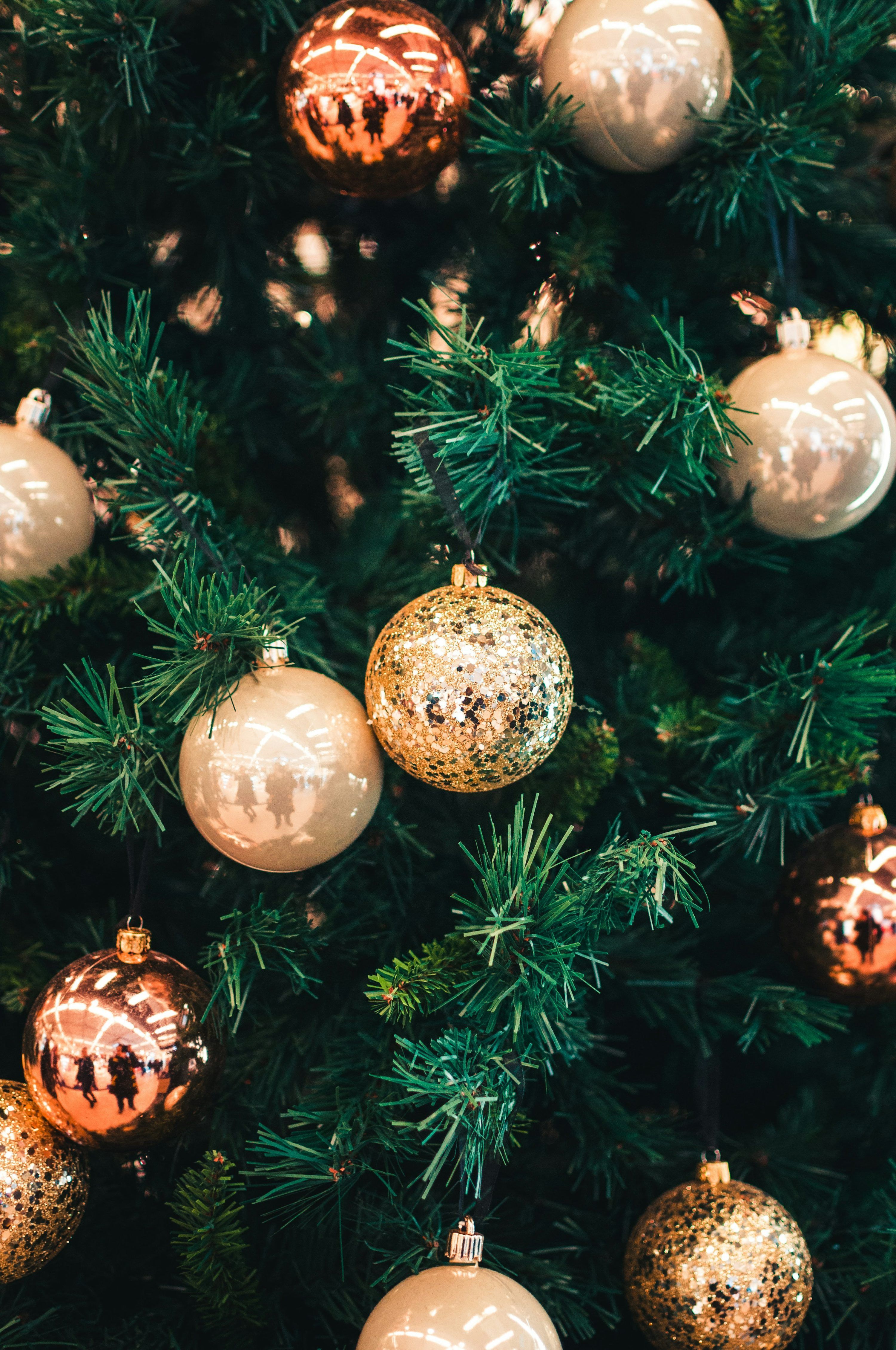 Green Christmas Tree Wallpapers - Top Free Green Christmas Tree ...