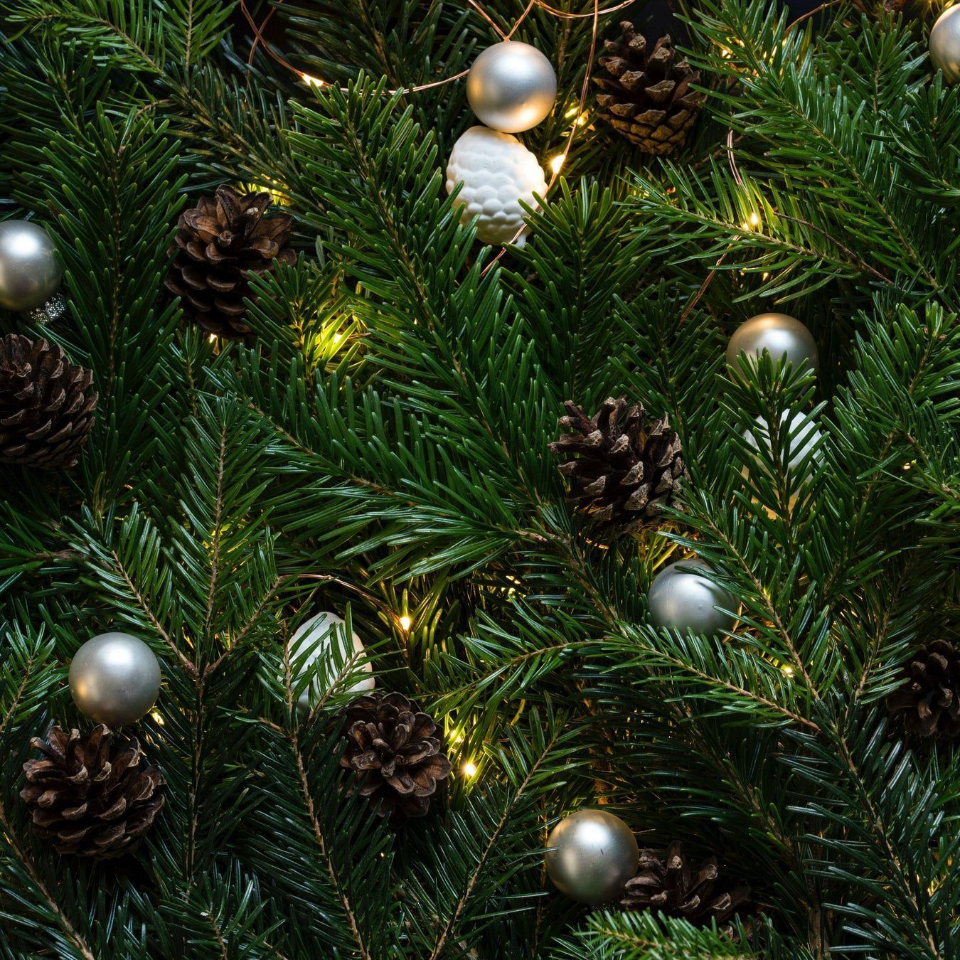 Green Christmas Tree Wallpapers - Top Free Green Christmas Tree ...