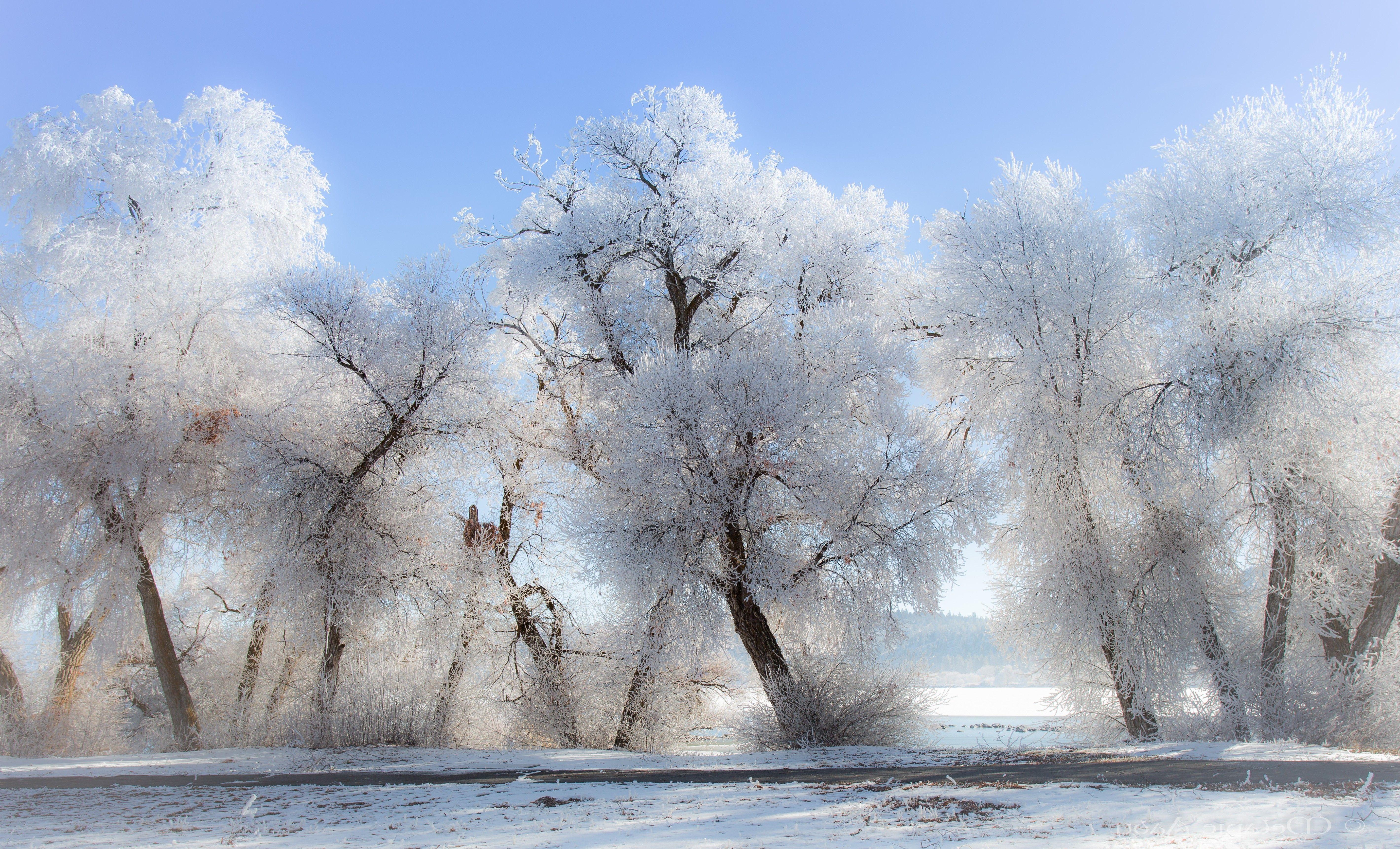 Winter Snow Landscape Wallpapers - Top Free Winter Snow Landscape ...