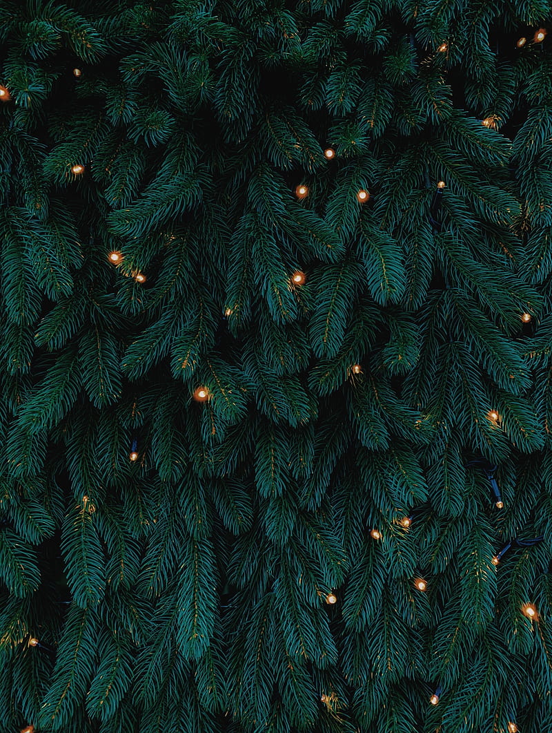 Green Christmas Tree Wallpapers - Top Free Green Christmas Tree ...