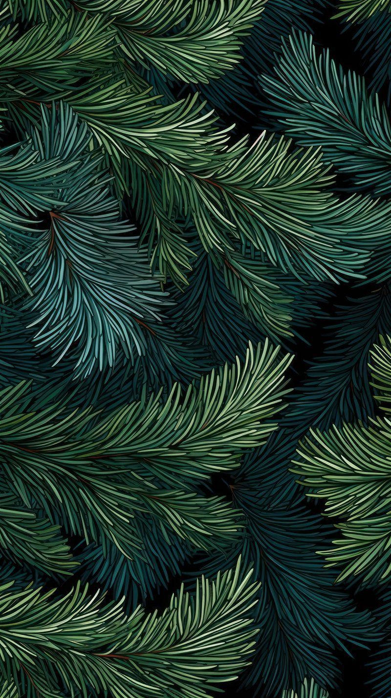Green Christmas Tree Wallpapers - Top Free Green Christmas Tree ...