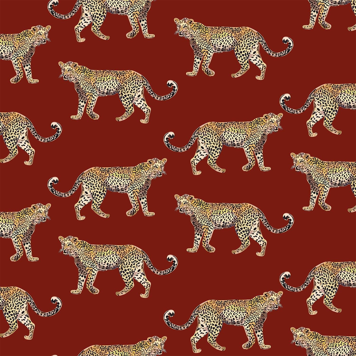 Cheetah Aesthetic Wallpapers - Top Free Cheetah Aesthetic Backgrounds ...