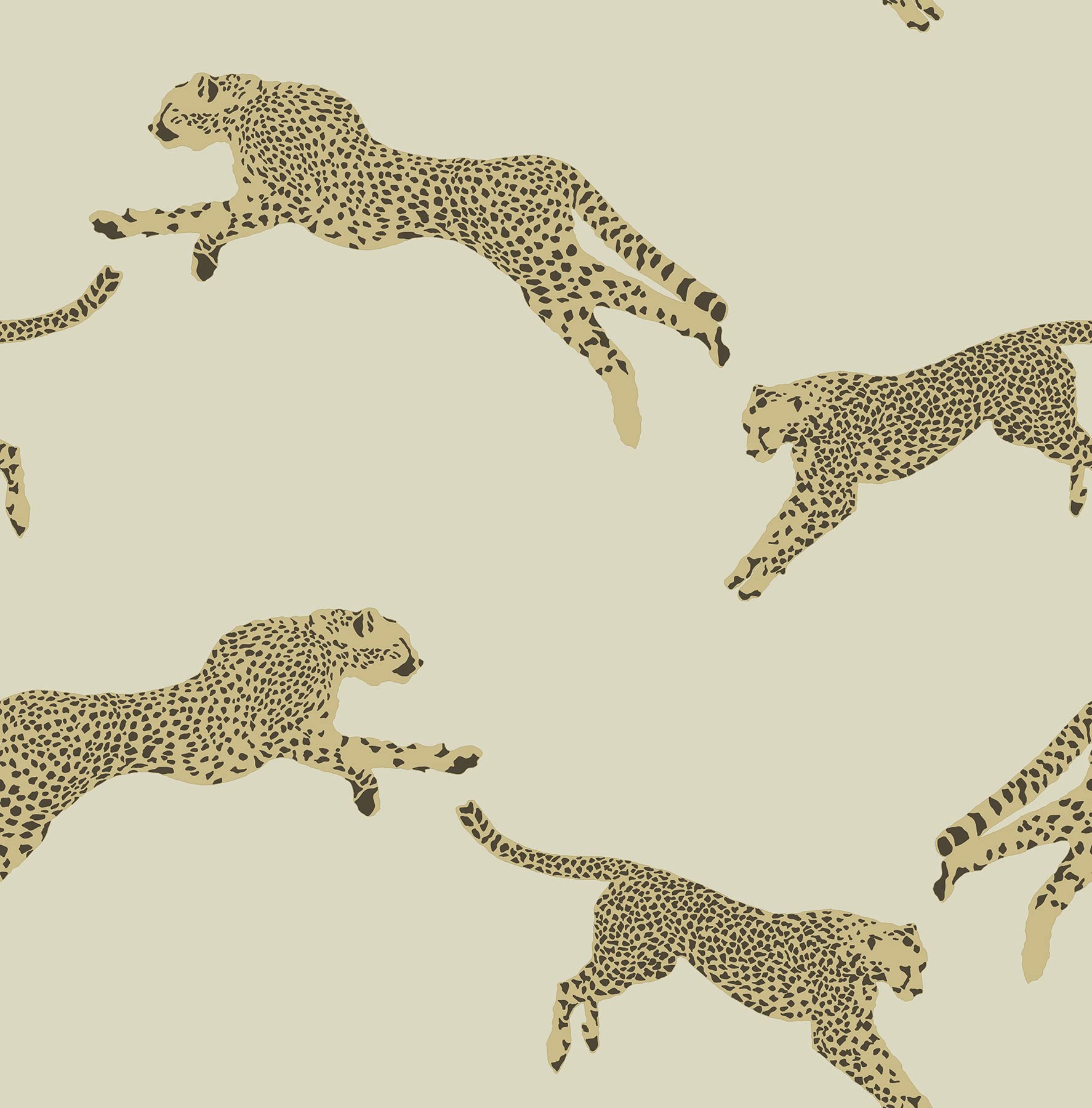 Cheetah Aesthetic Wallpapers - Top Free Cheetah Aesthetic Backgrounds ...