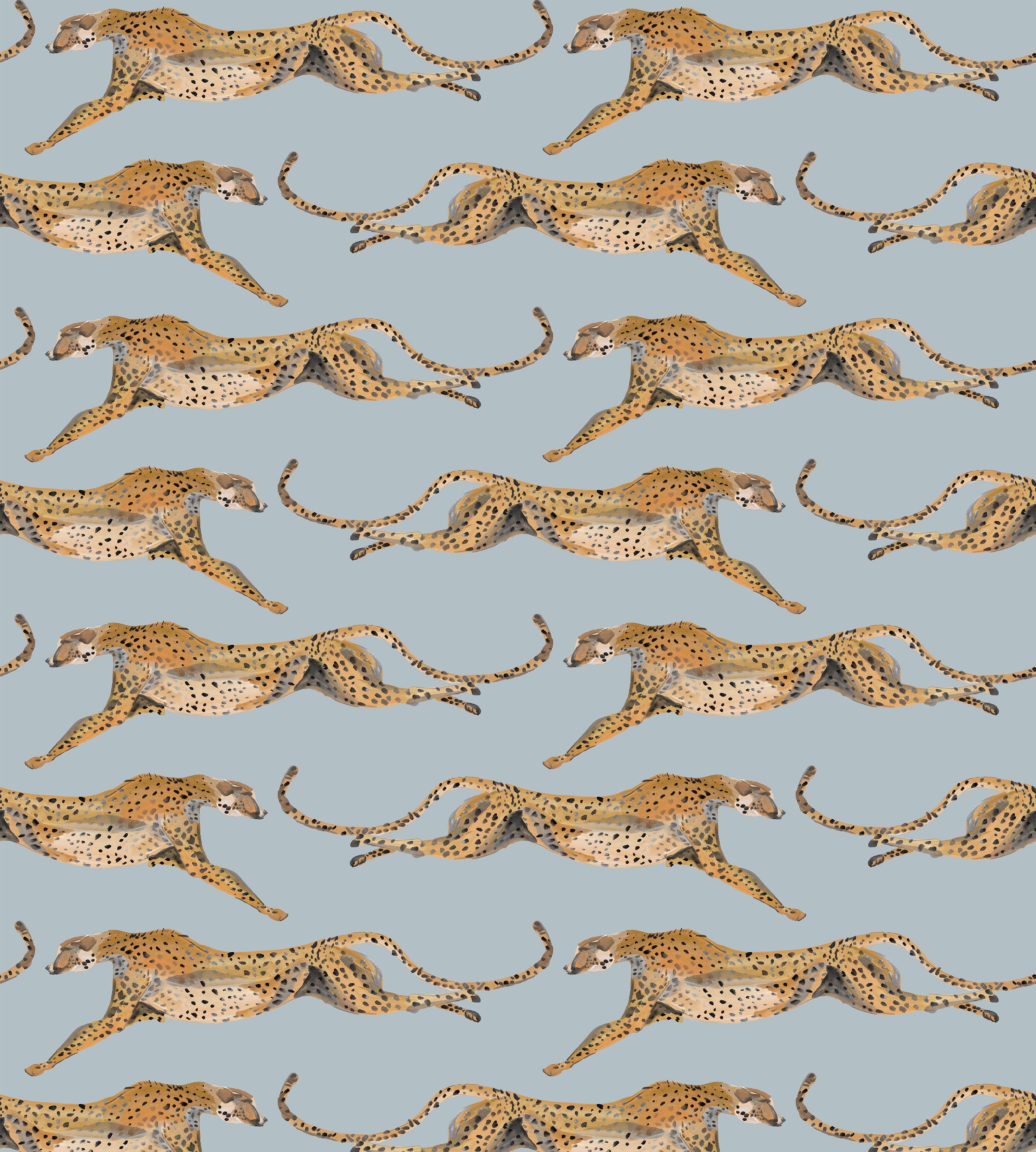 Cheetah Aesthetic Wallpapers - Top Free Cheetah Aesthetic Backgrounds ...