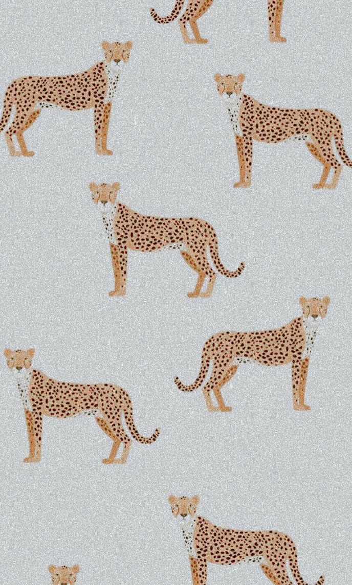Cheetah Aesthetic Wallpapers - Top Free Cheetah Aesthetic Backgrounds ...