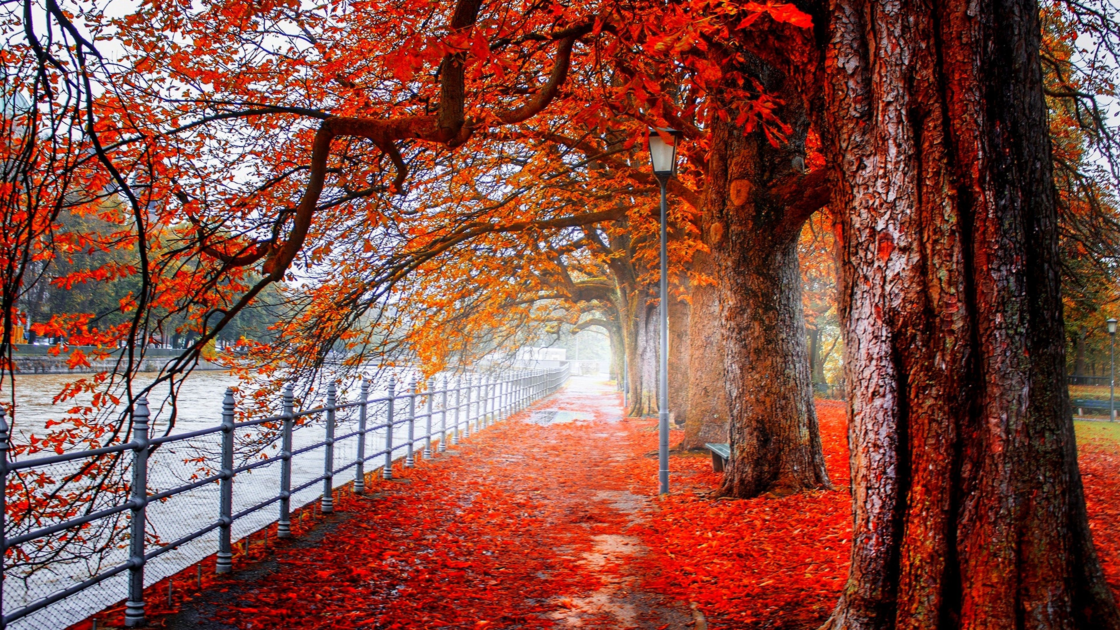 3840x2160 Autumn Wallpapers - Top Free 3840x2160 Autumn Backgrounds ...