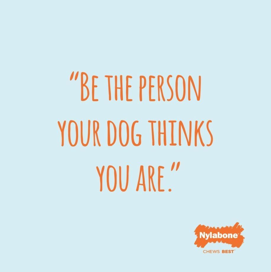 Relatable Quotes Wallpapers - Top Free Relatable Quotes Backgrounds ...