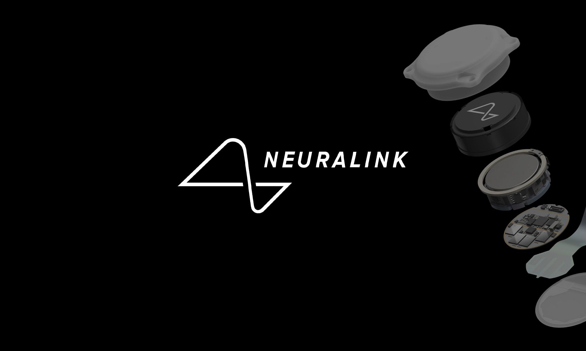 Neuralink Logo Wallpapers - Top Free Neuralink Logo Backgrounds ...
