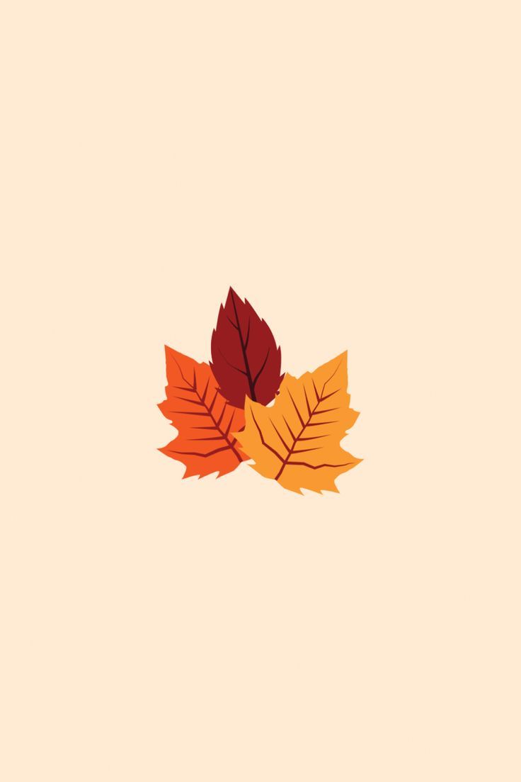 Fall Leaves Aesthetic Wallpapers - Top Free Fall Leaves Aesthetic ...
