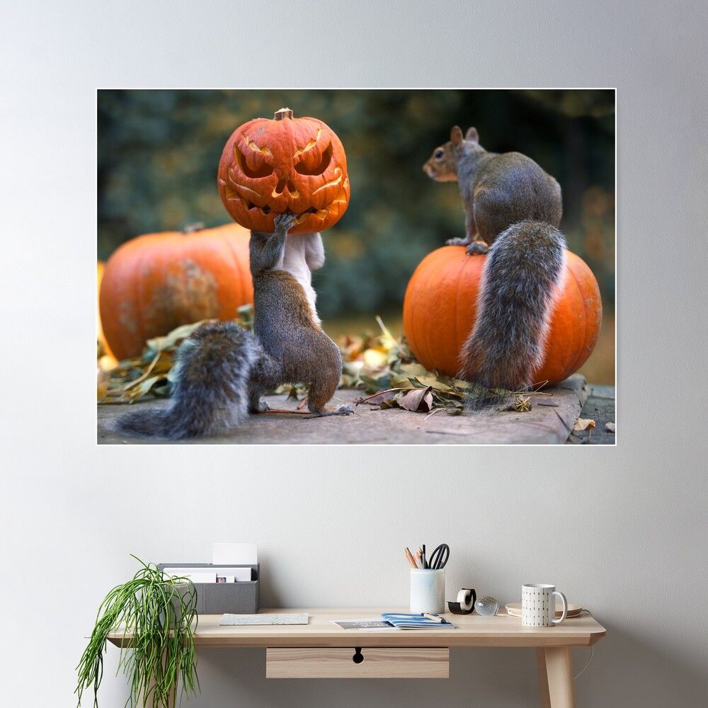 Squirrel Halloween Wallpapers - Top Free Squirrel Halloween Backgrounds ...