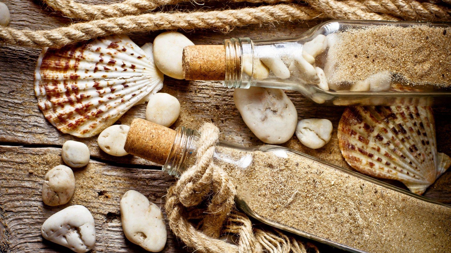 Seashells Wallpapers - Top Free Seashells Backgrounds - WallpaperAccess