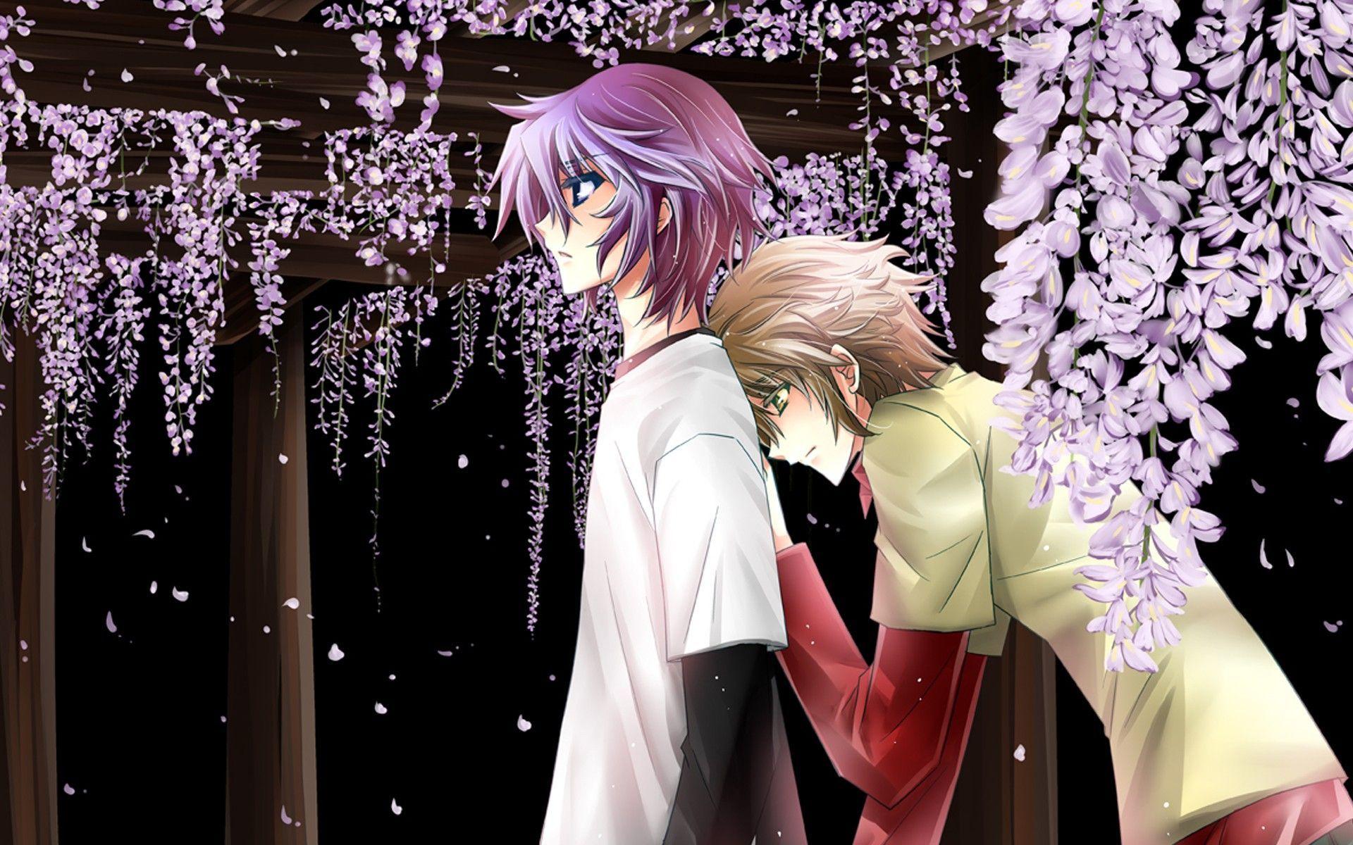 Shiki Wallpapers - Top Free Shiki Backgrounds - WallpaperAccess