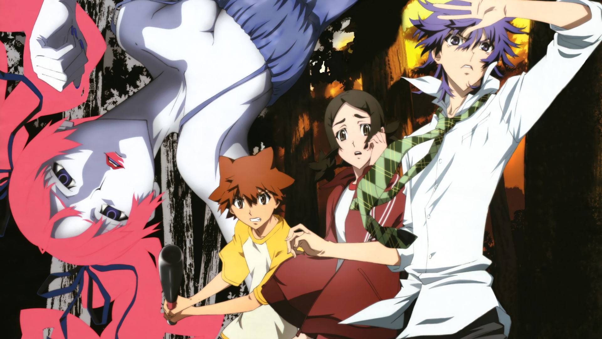 Shiki Wallpapers - Top Free Shiki Backgrounds - WallpaperAccess