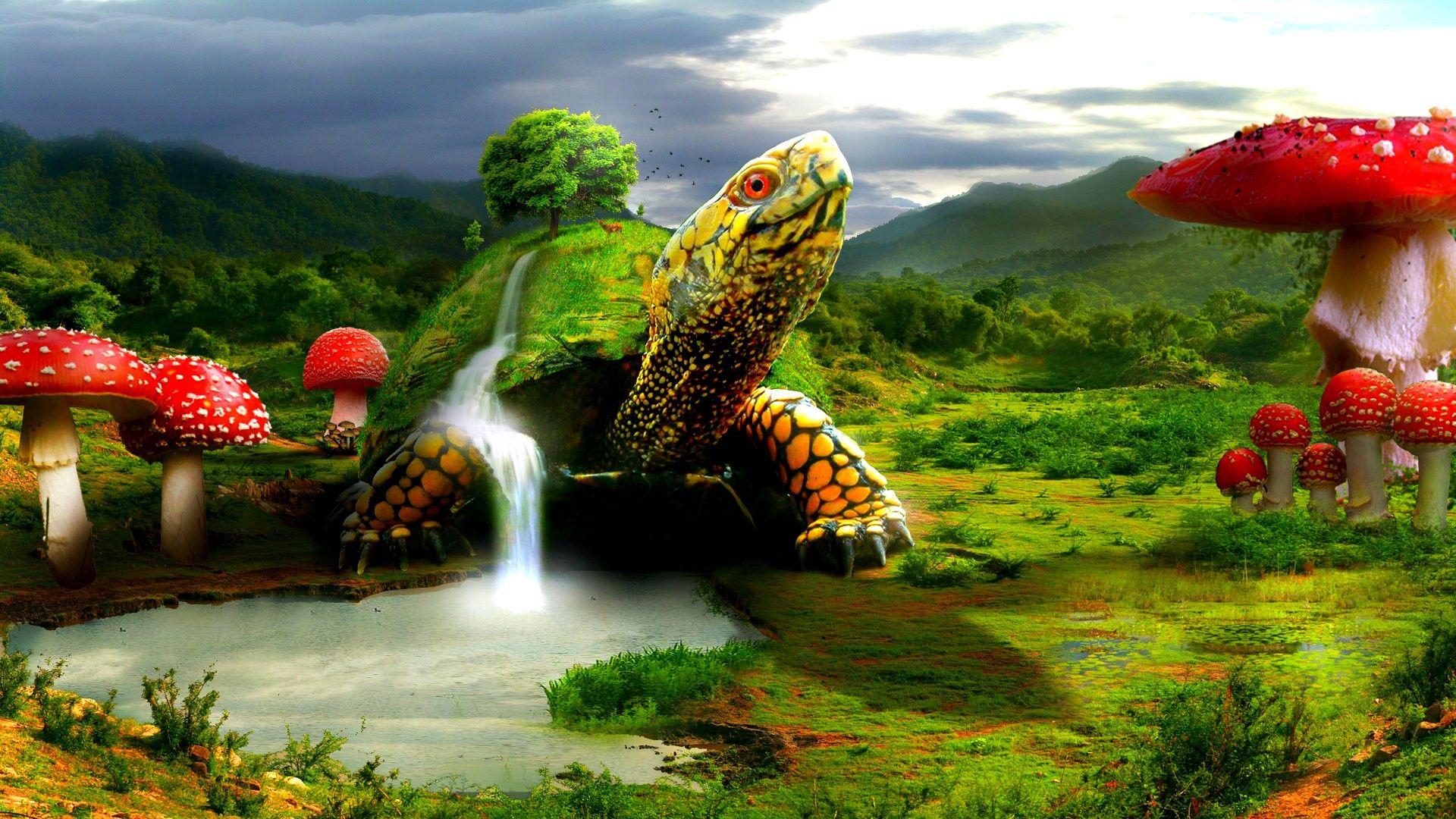 Turtle Desktop Wallpapers - Top Free Turtle Desktop Backgrounds ...