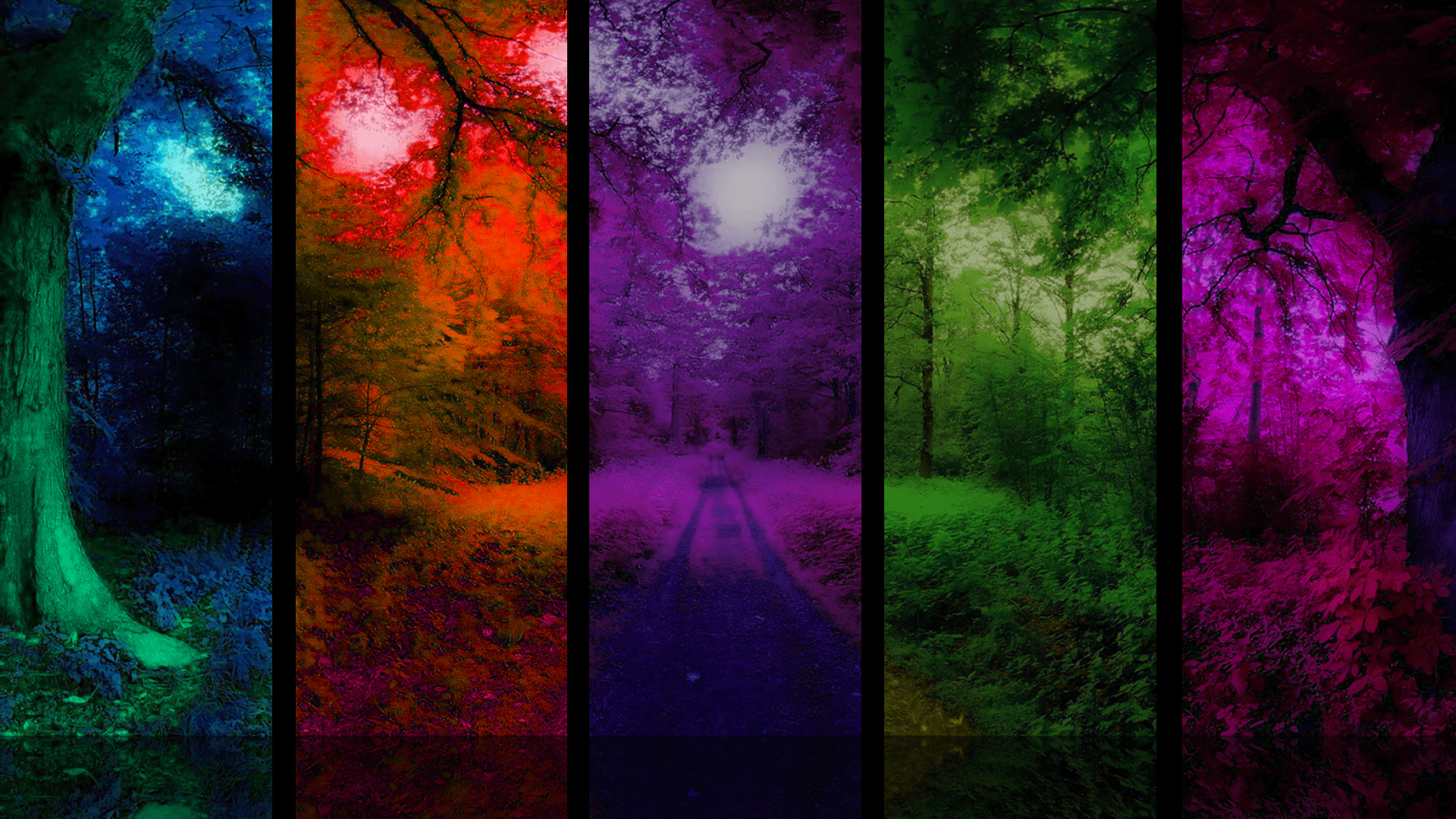 Color Forest Wallpapers - Top Free Color Forest Backgrounds ...