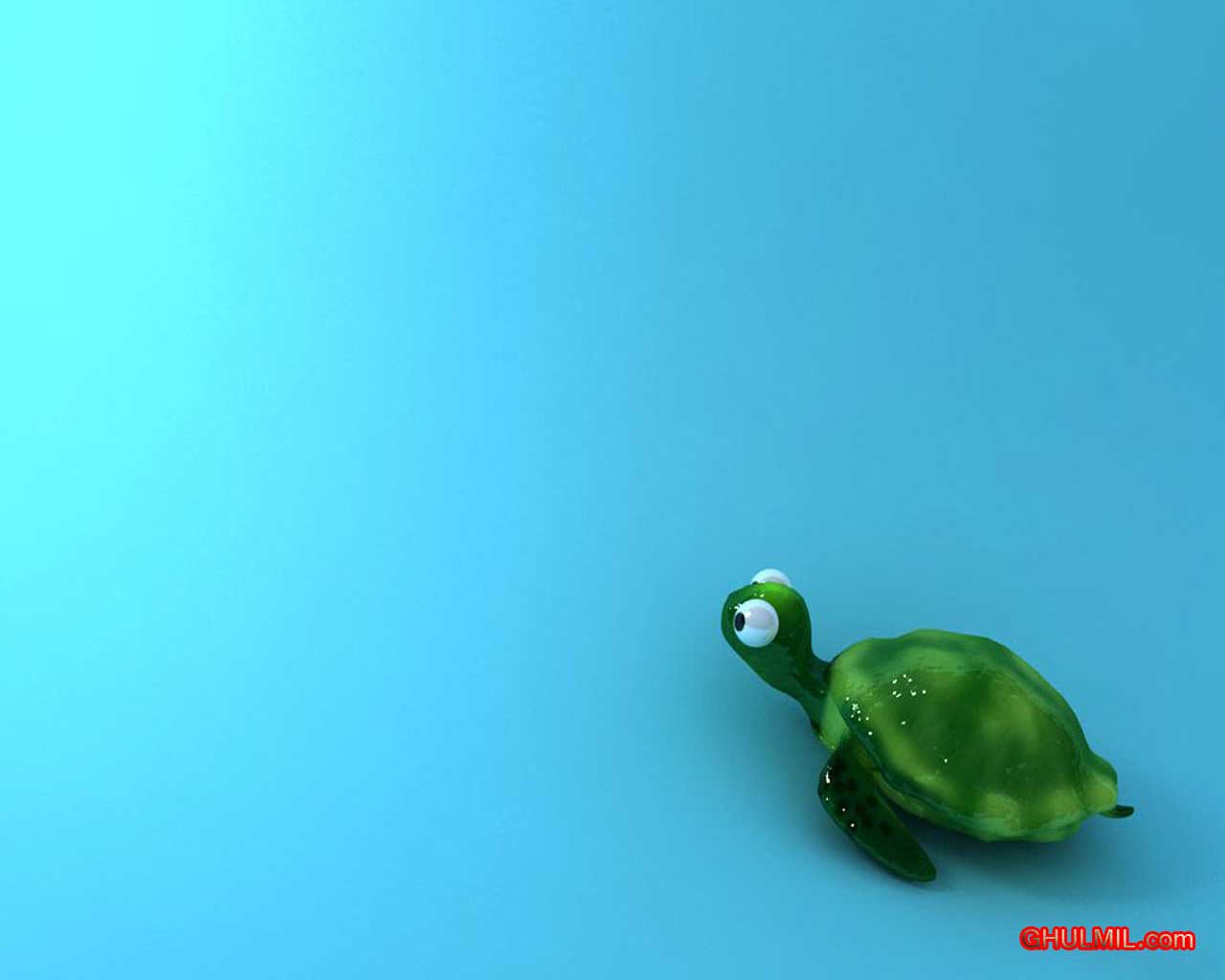 Abstract Turtle Wallpapers - Top Free Abstract Turtle Backgrounds ...