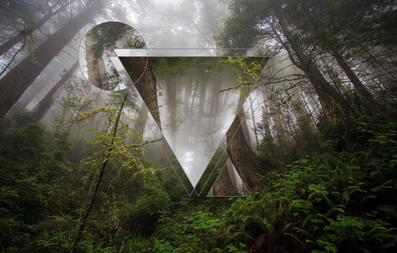 Triangle Forest Wallpapers - Top Free Triangle Forest Backgrounds ...
