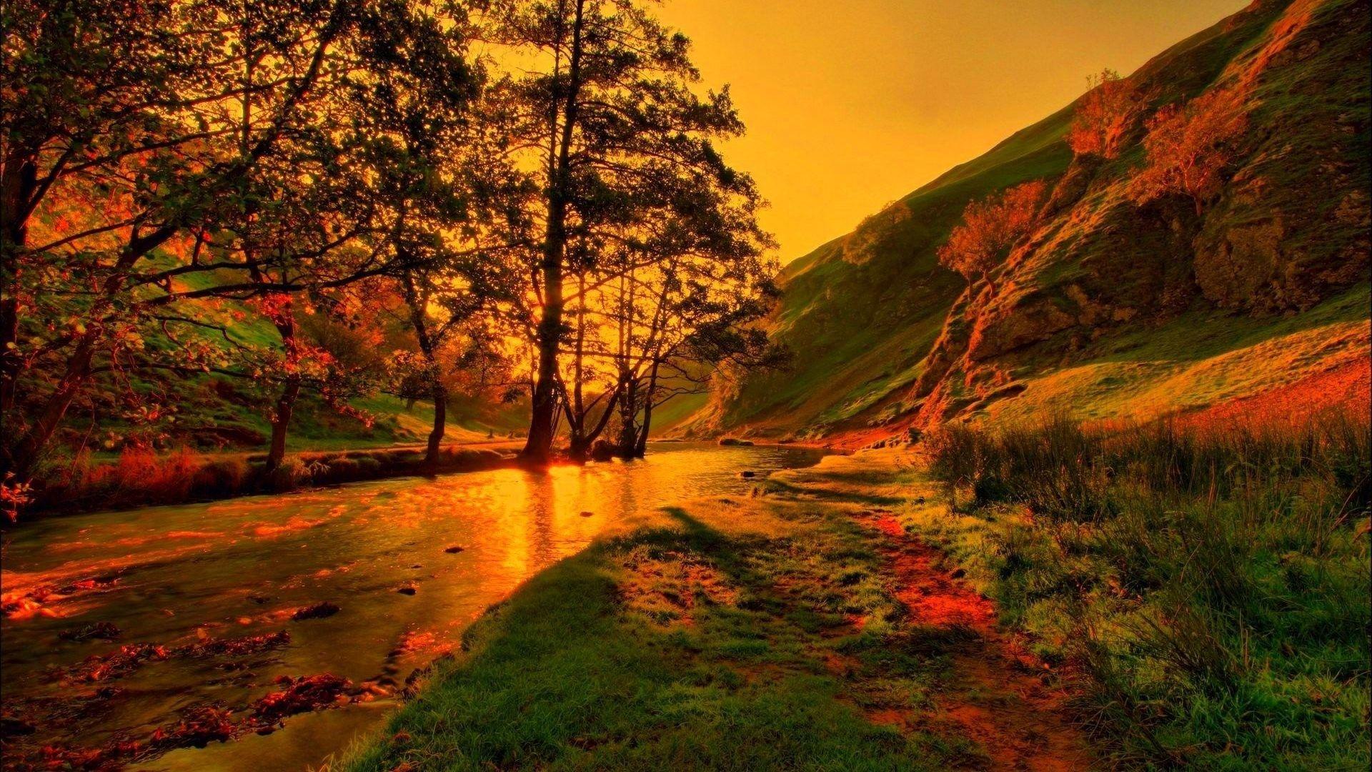 Color Forest Wallpapers - Top Free Color Forest Backgrounds ...