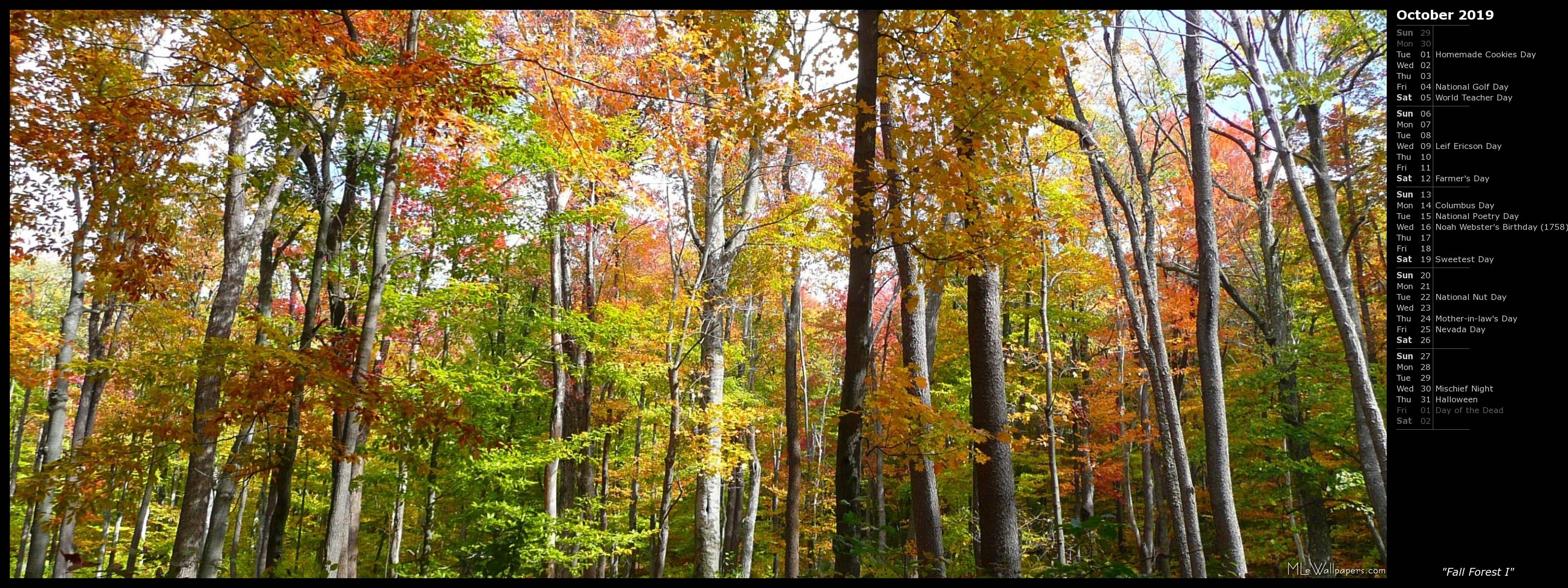 Color Forest Wallpapers - Top Free Color Forest Backgrounds ...